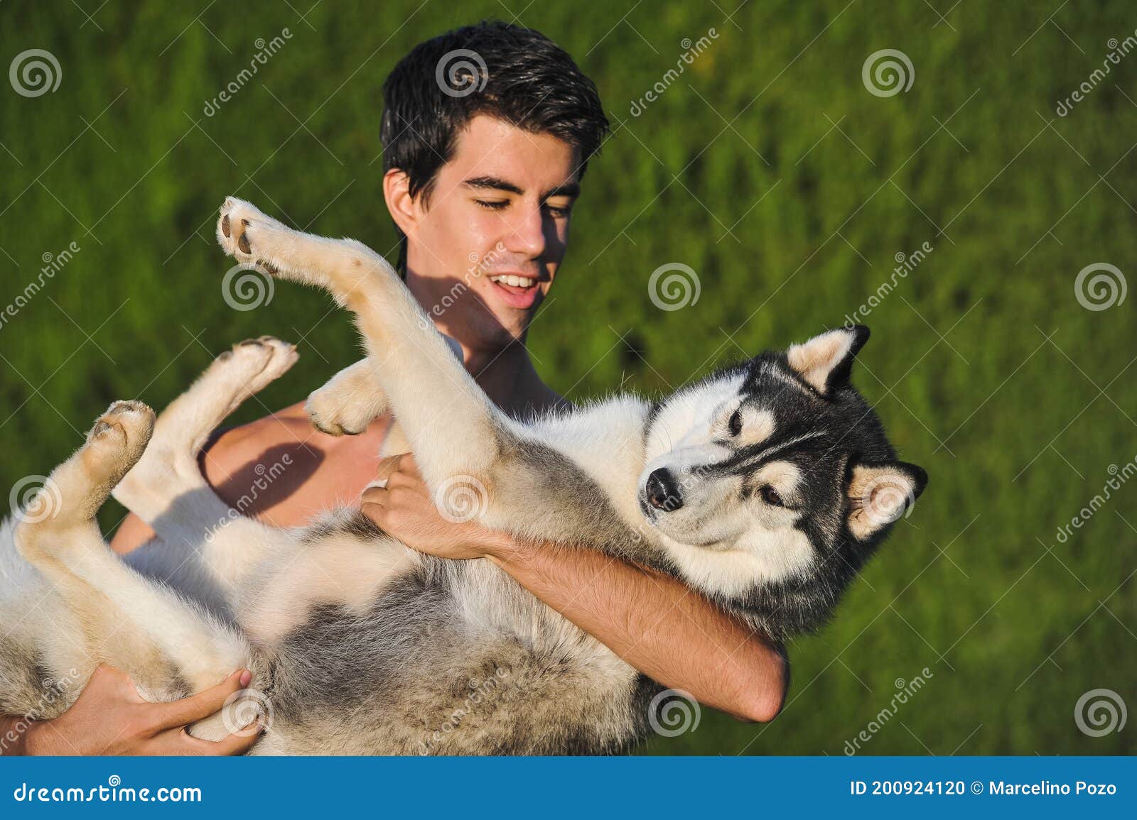 Young Boy Playing with Siberian Husky Stock Photo - Image of lifestyle ...