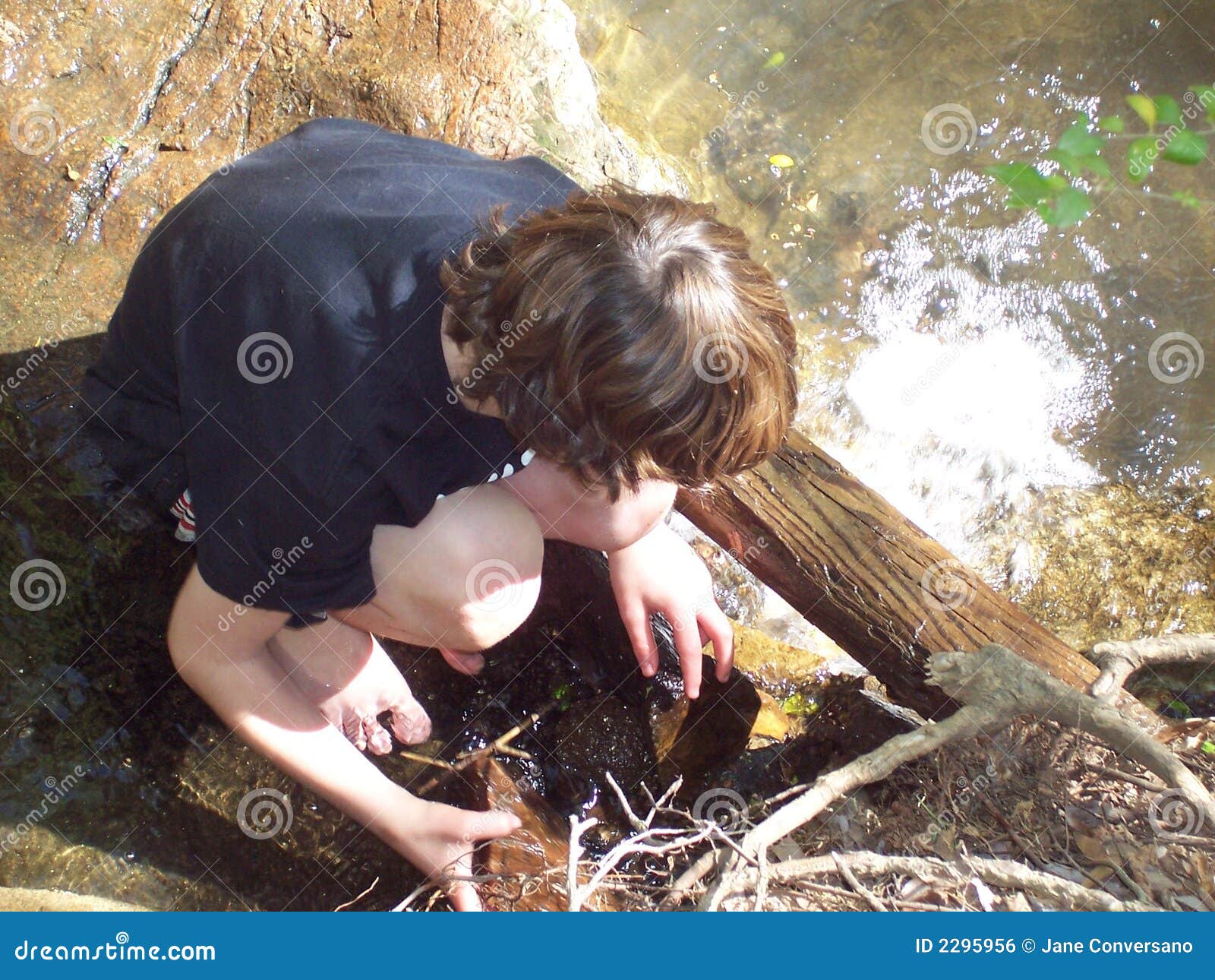 Young Boy Playing in Stream Stock Photo - Image of water, rock: 2295956