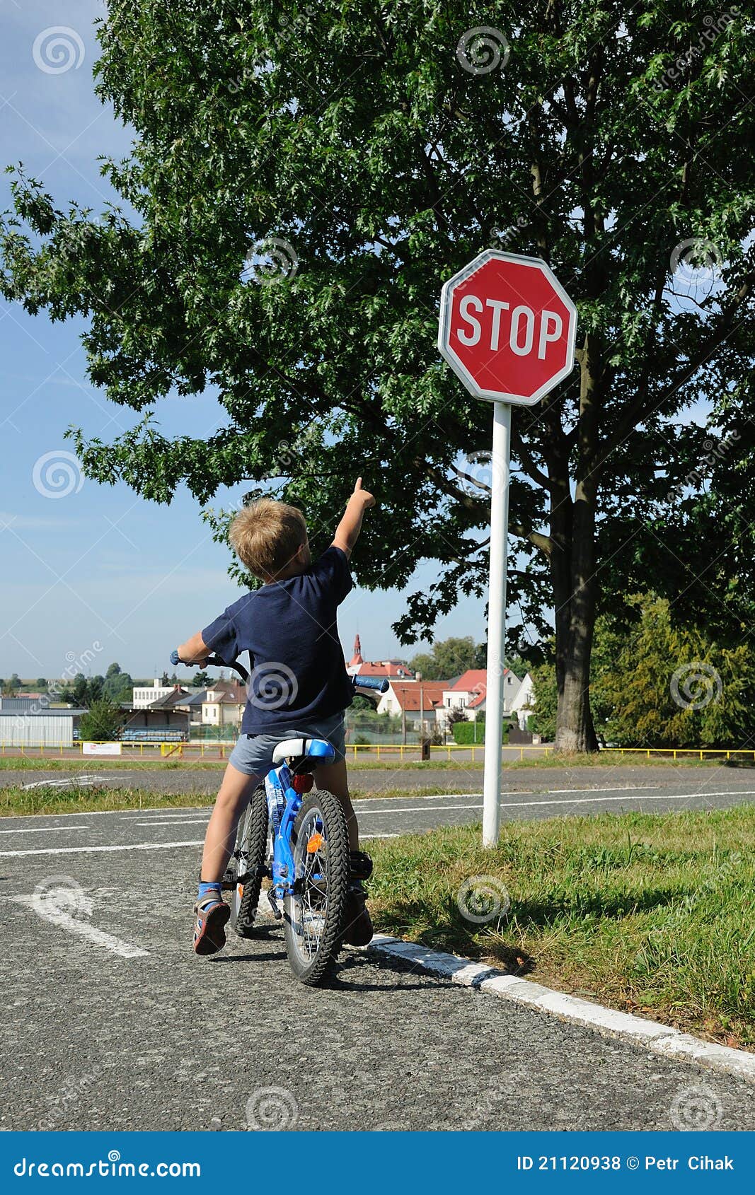 Young Boy Pointing To Stop Sign Stock Photo - Image of warn, sign: 21120938