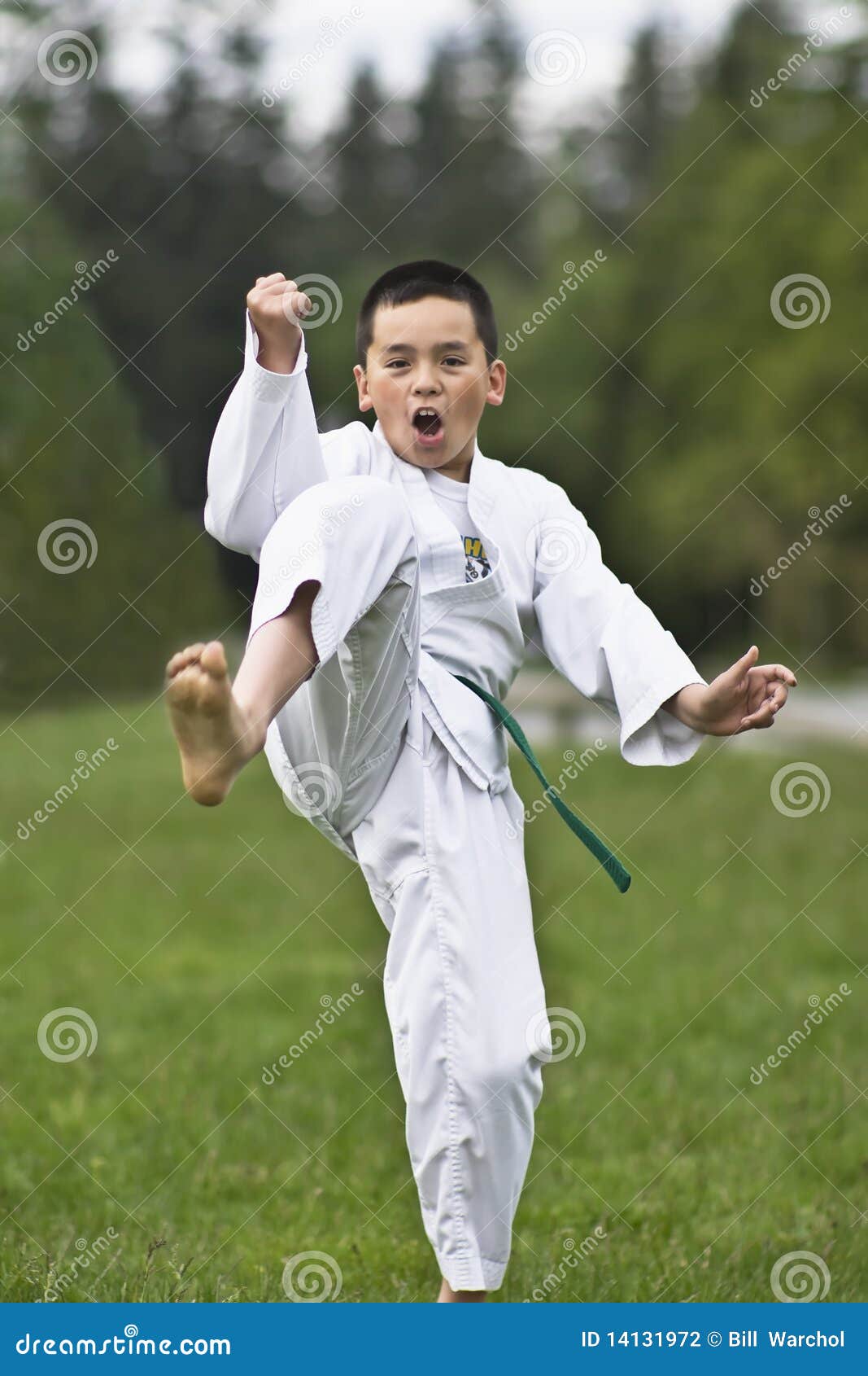 Young Boy Practicing Karate Stock Photo - Image of power, friendship ...