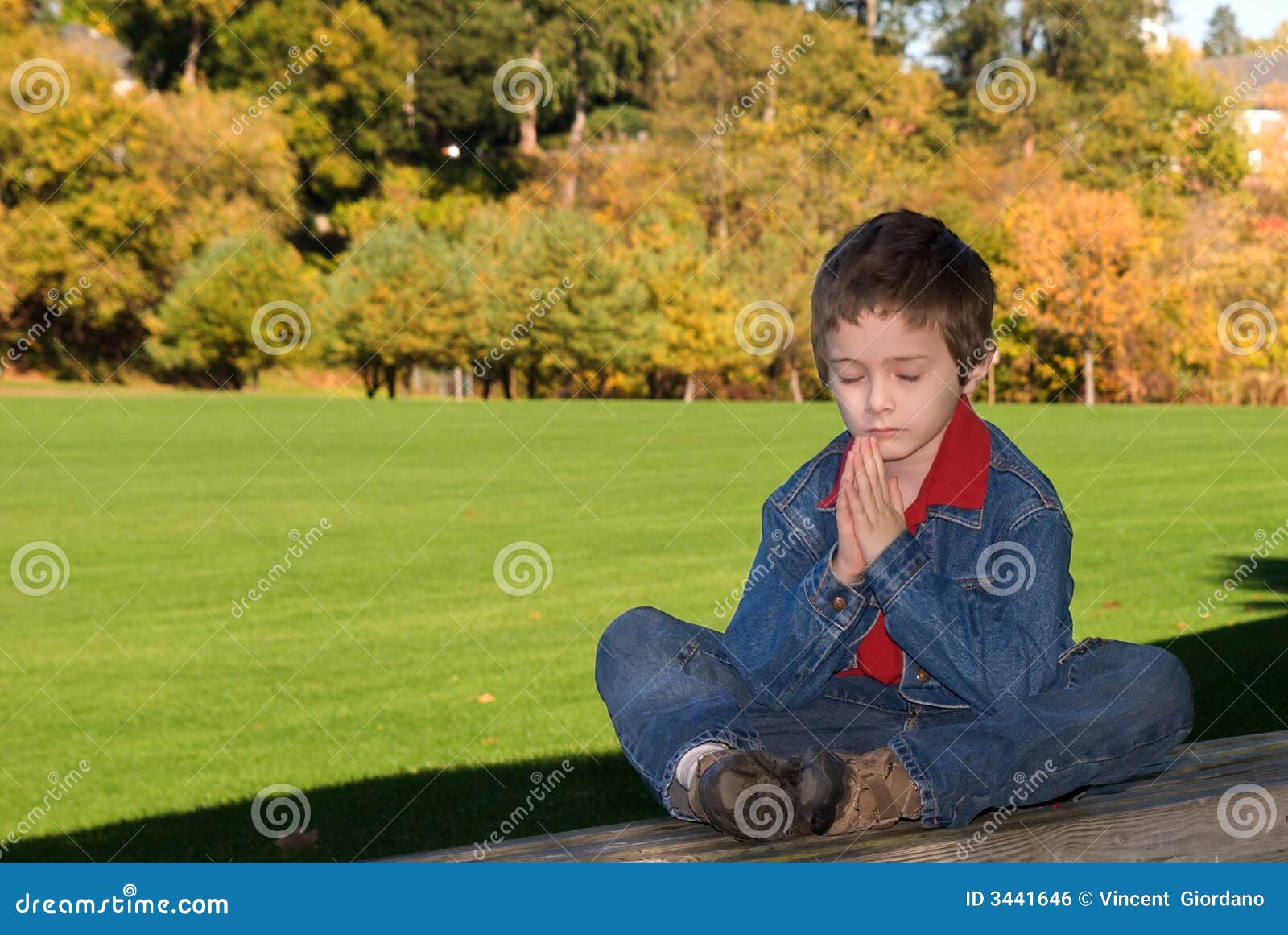 Young boy praying stock photo. Image of small, caucasian - 3441646