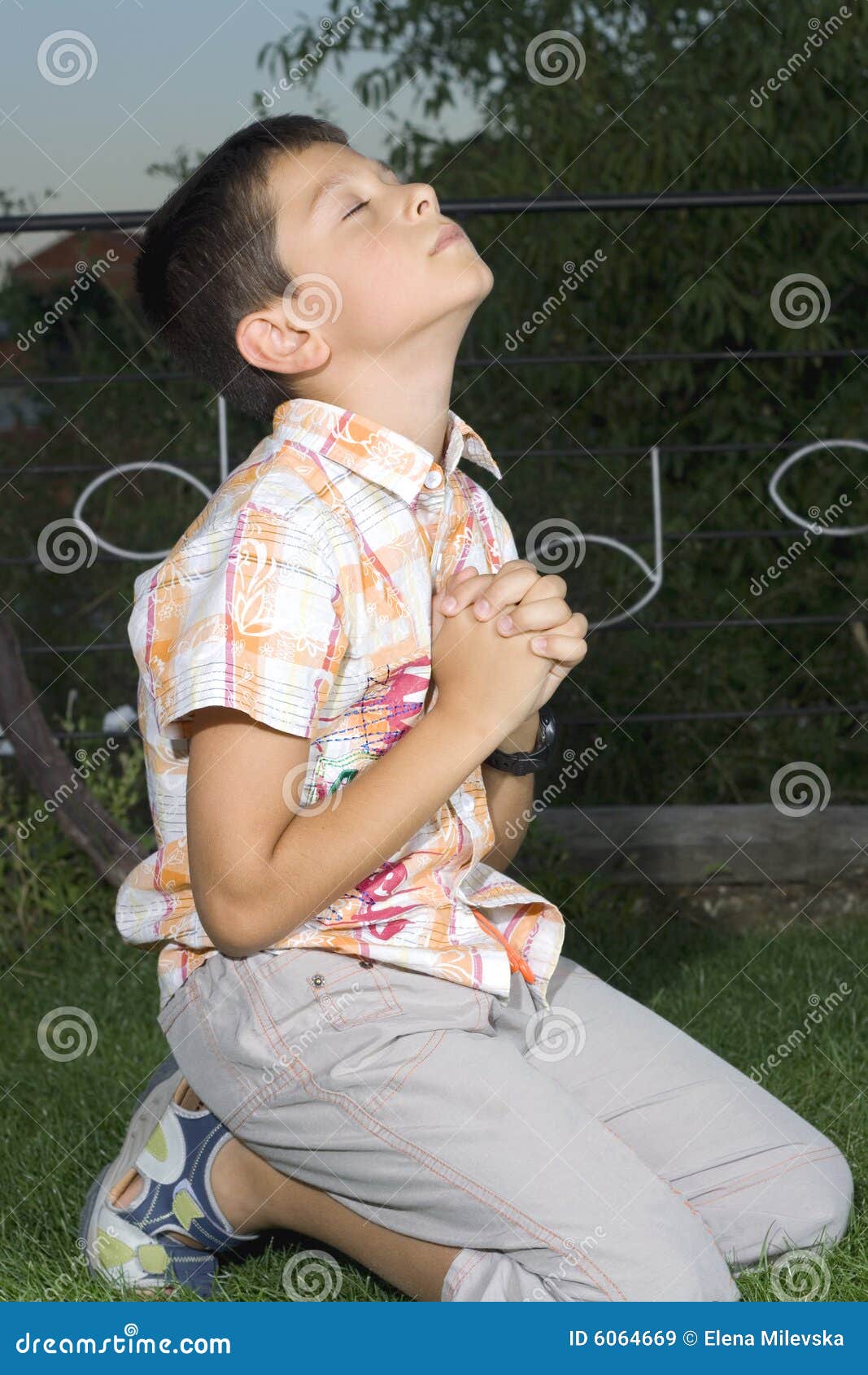 Young boy praying stock image. Image of beauty, christian - 6064669