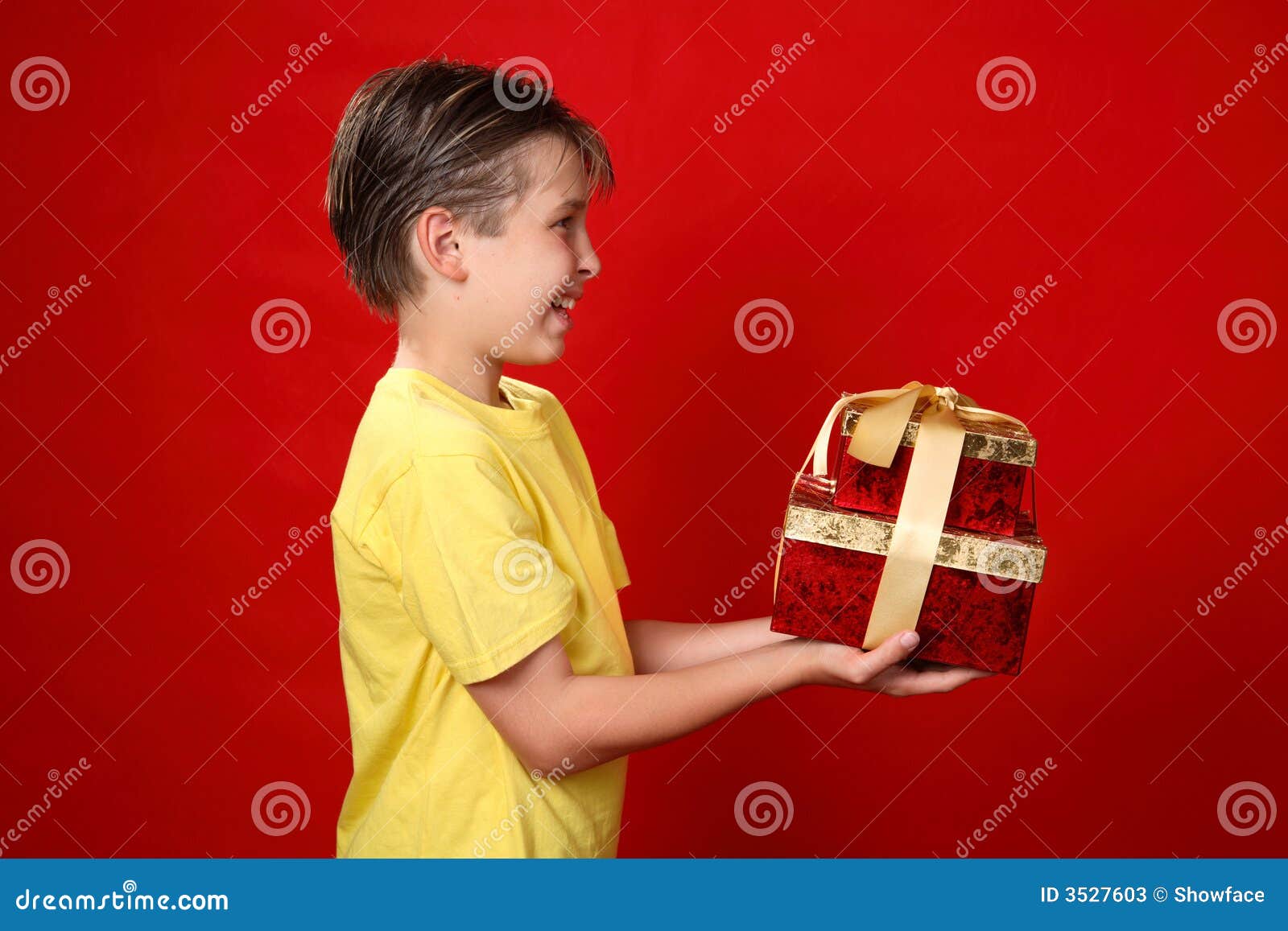 Young boy with present stock image. Image of season, tiered - 3527603