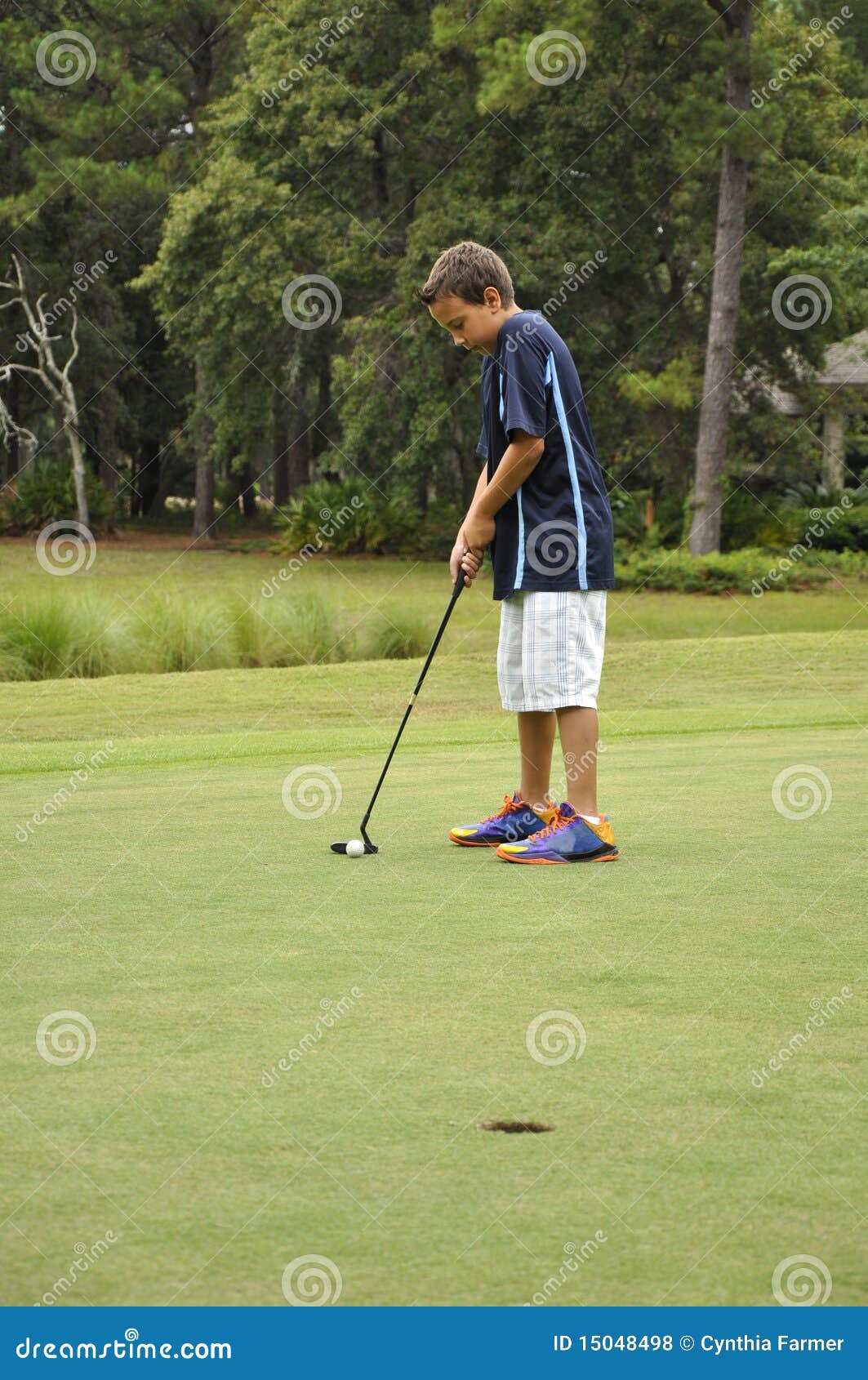 Young boy putting stock photo. Image of golfing, carolina - 15048498