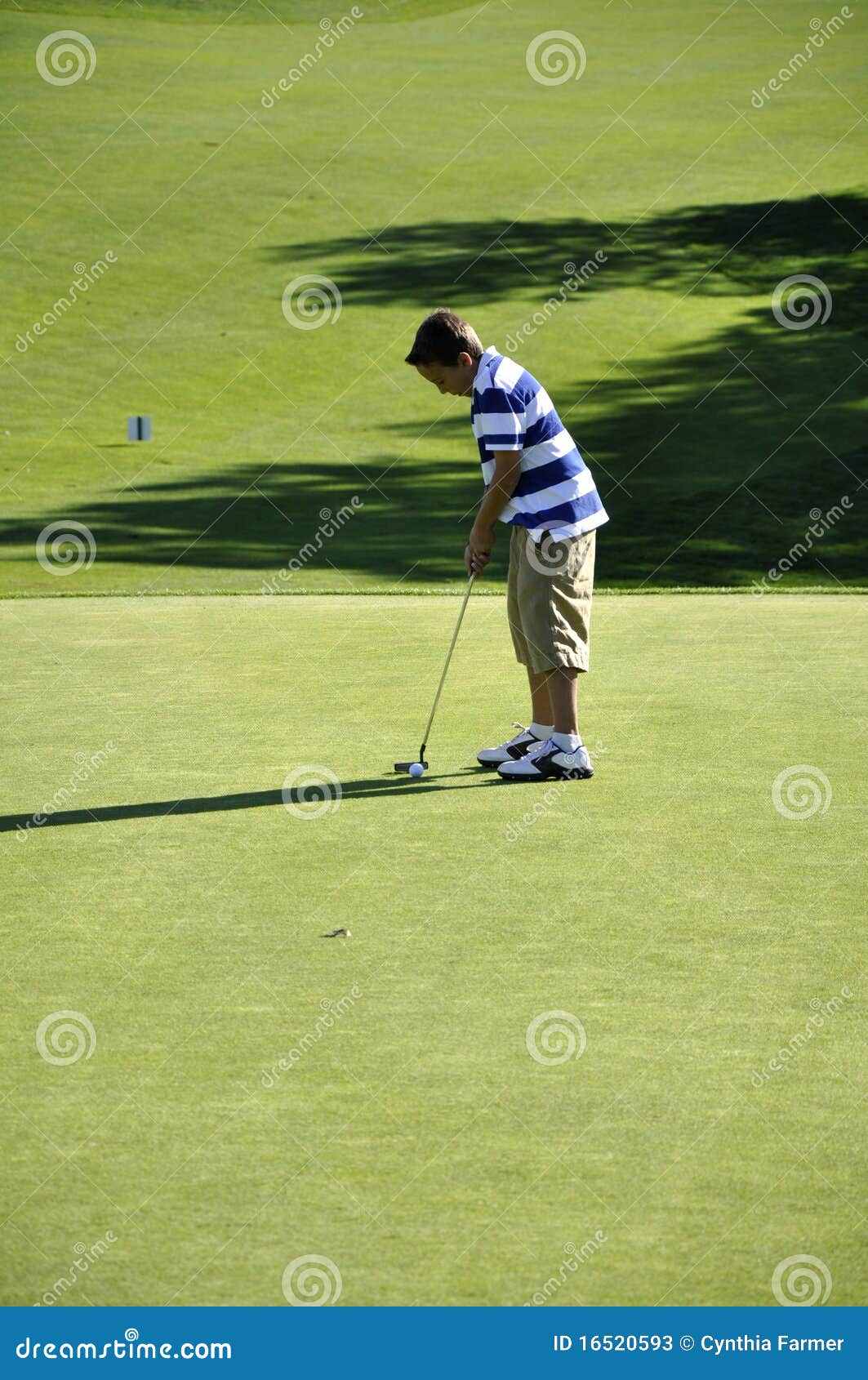 Young Boy Putting on Golf Course Stock Image - Image of golfing ...