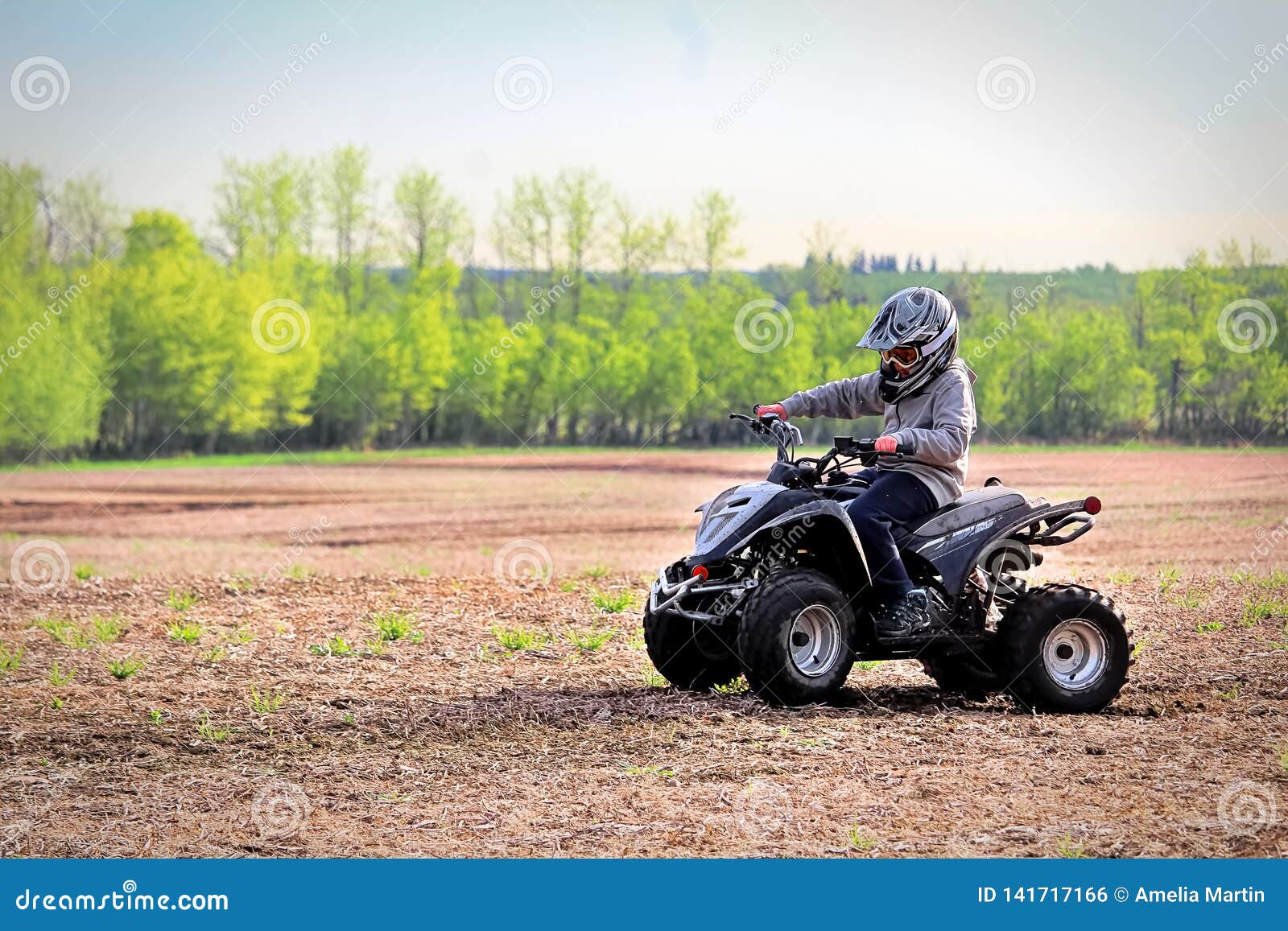 A Young Boy Quading in a Spring Field Stock Photo - Image of power ...