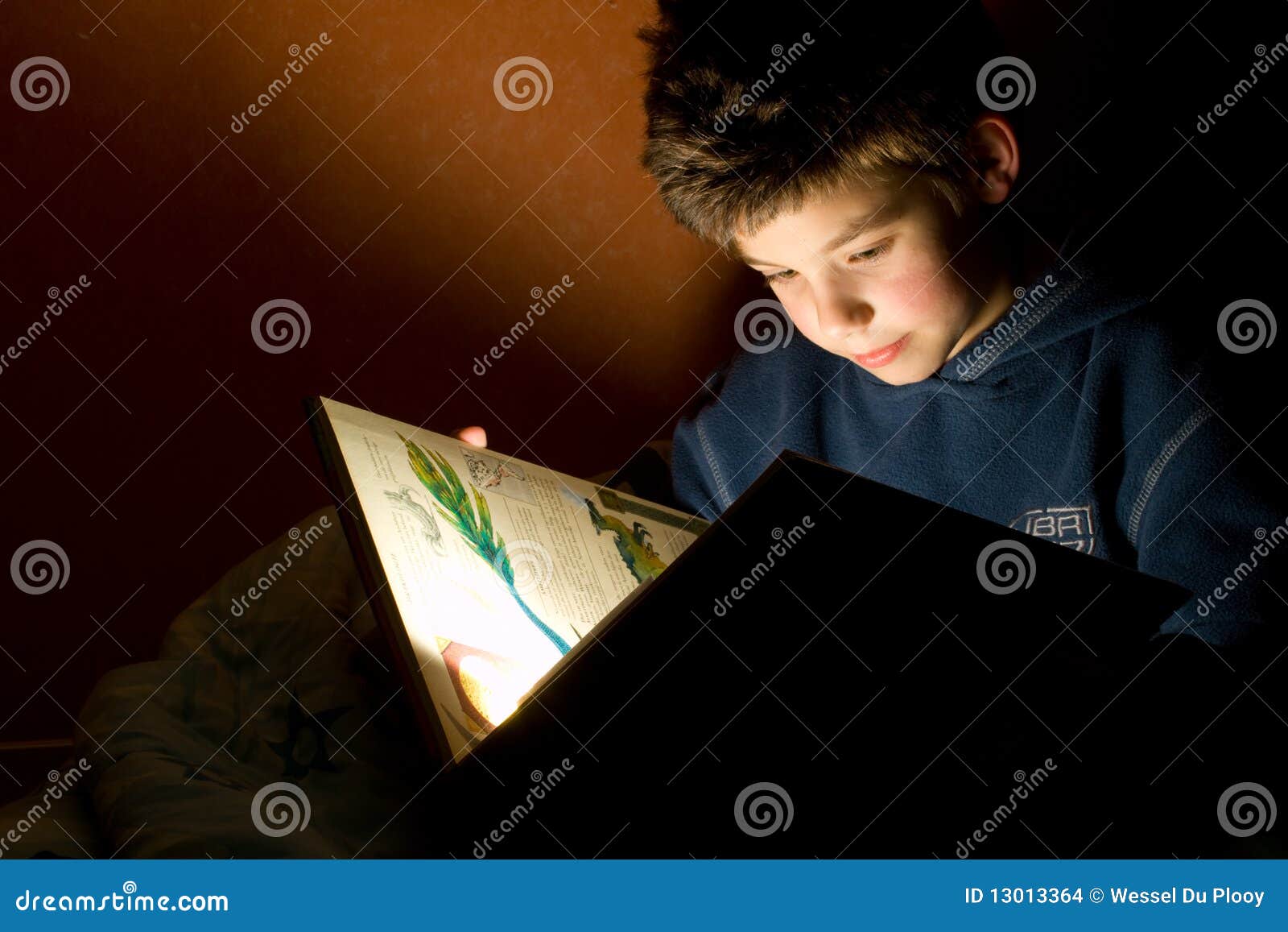 Young boy reading book stock photo. Image of night, read - 13013364