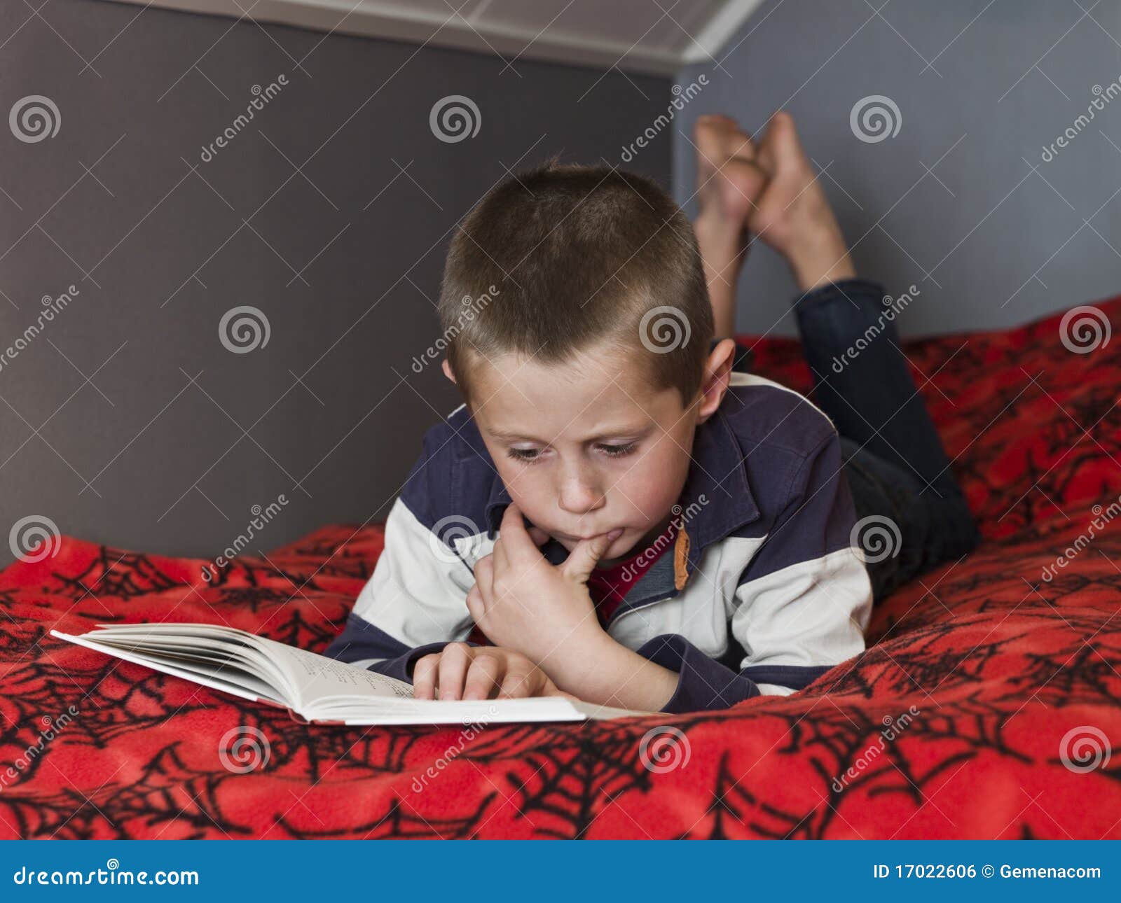 Young Boy Reading A Book Royalty Free Stock Image - Image: 17022606