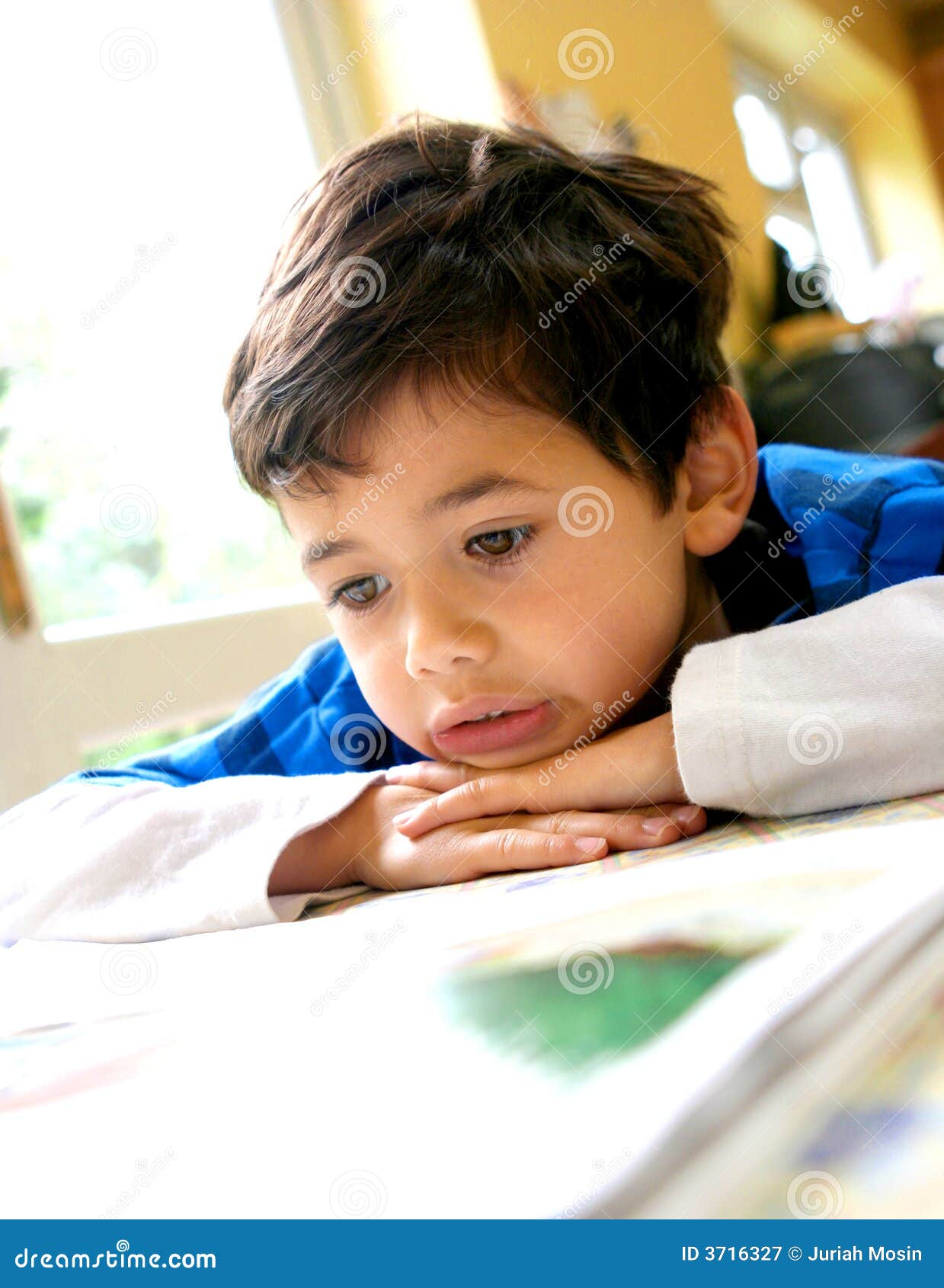 Young boy reading a book. stock image. Image of concentrate - 3716327