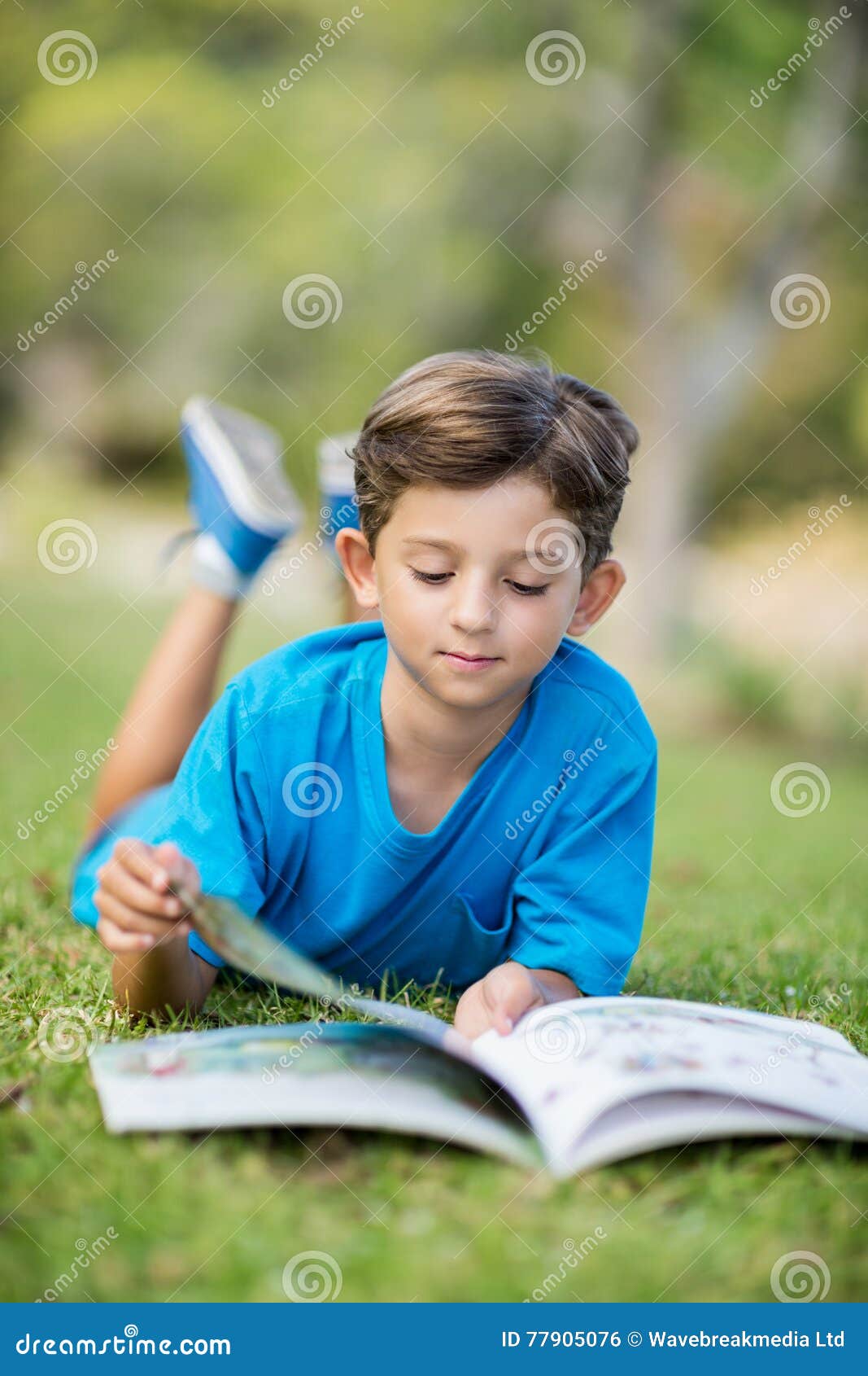 Young Boy Reading Book in Park Stock Photo - Image of lying, parkland ...