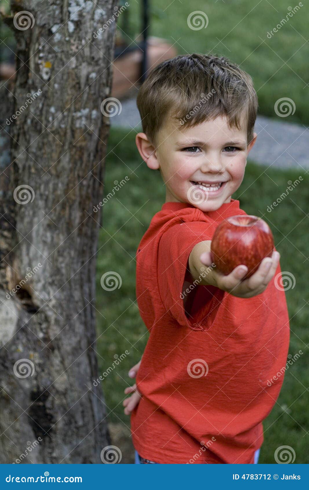 Young boy with red apples stock photo. Image of young - 4783712