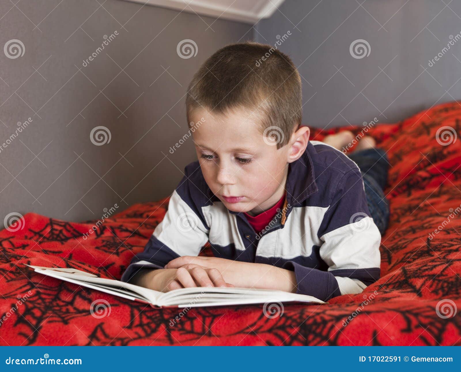 Young boy reding a book stock image. Image of homework - 17022591