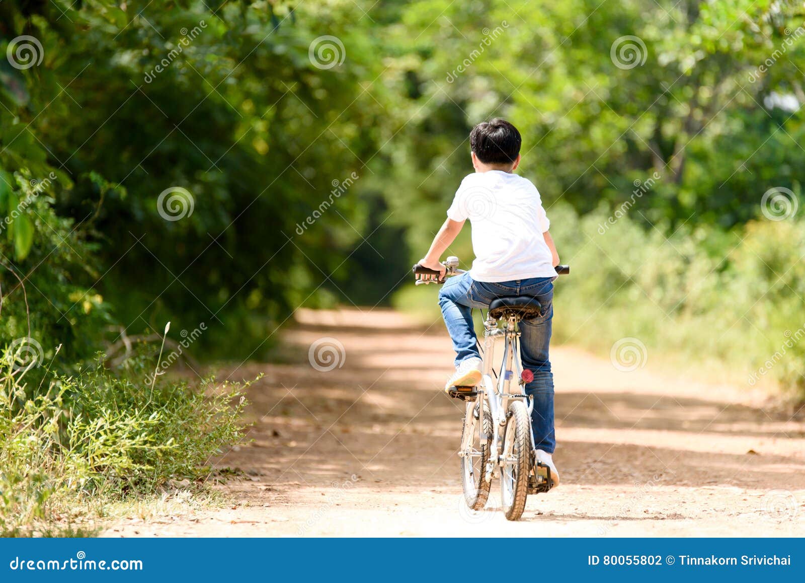 Young boy ride bicycle stock photo. Image of environment - 80055802