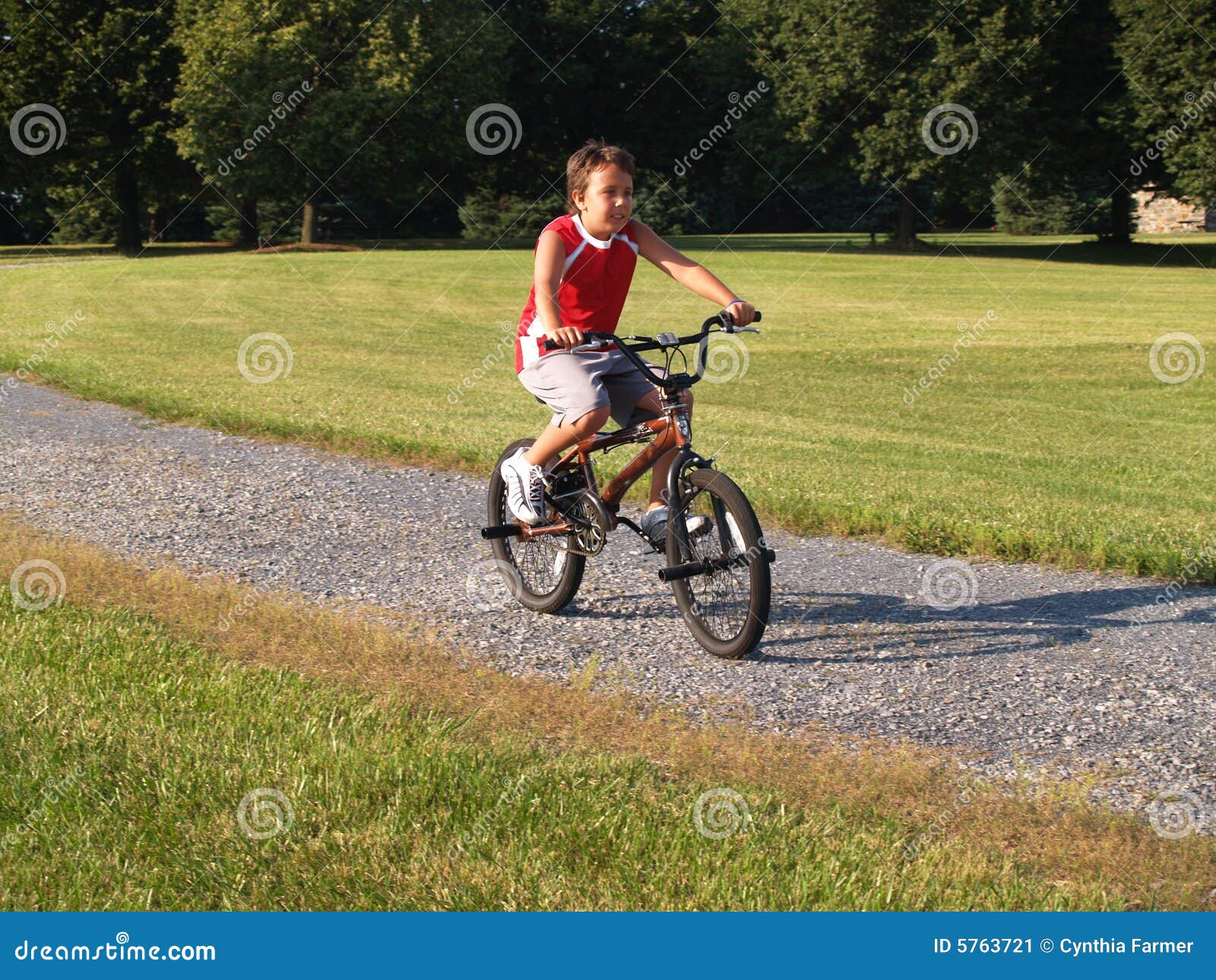 Young boy riding a bike stock image. Image of motion, ride - 5763721
