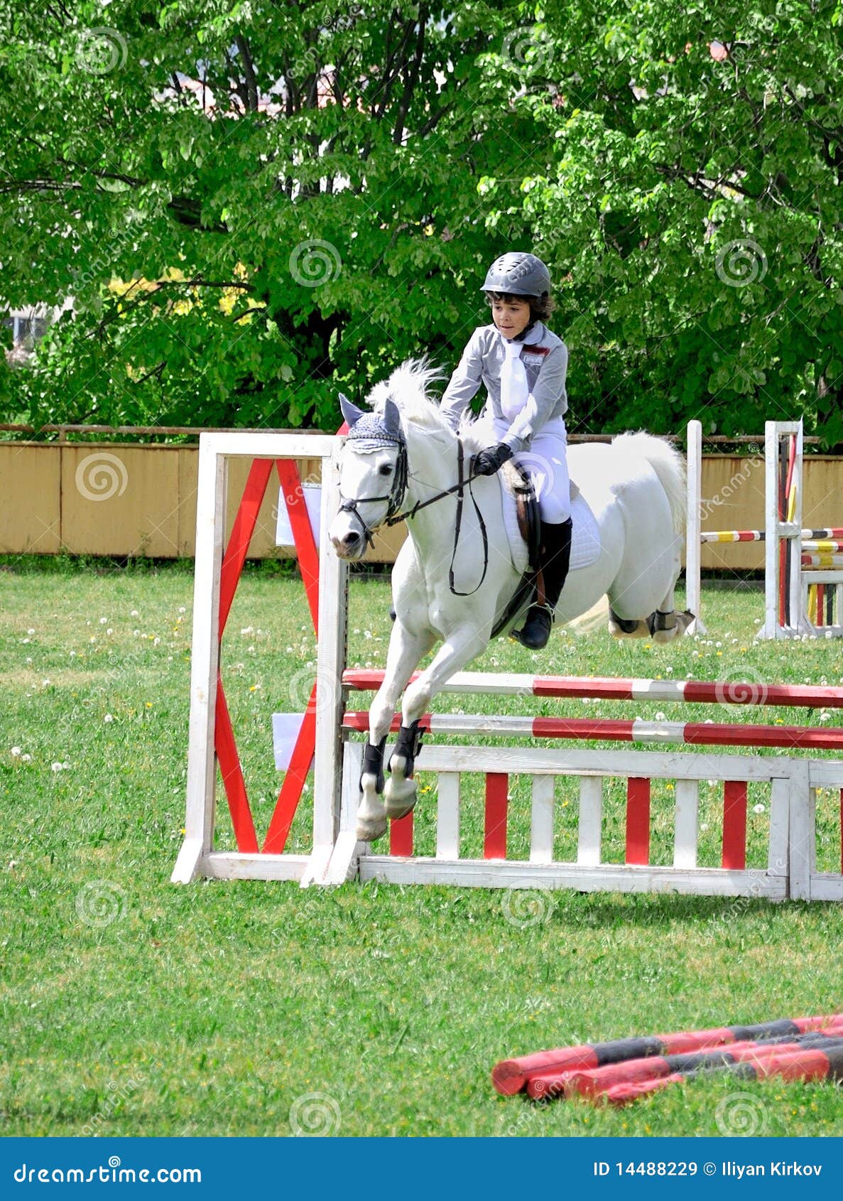 Young Boy Riding White Horse Stock Image - Image of elegance, children ...