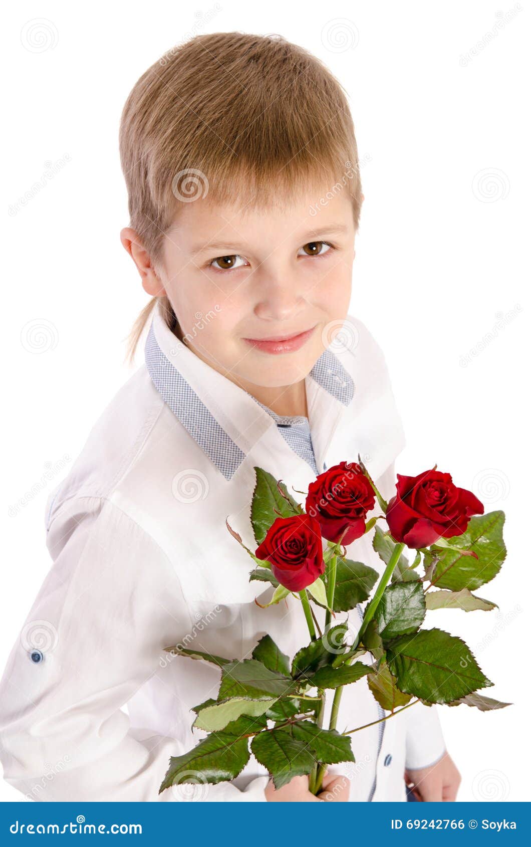 Young boy with roses stock photo. Image of roses, male - 69242766