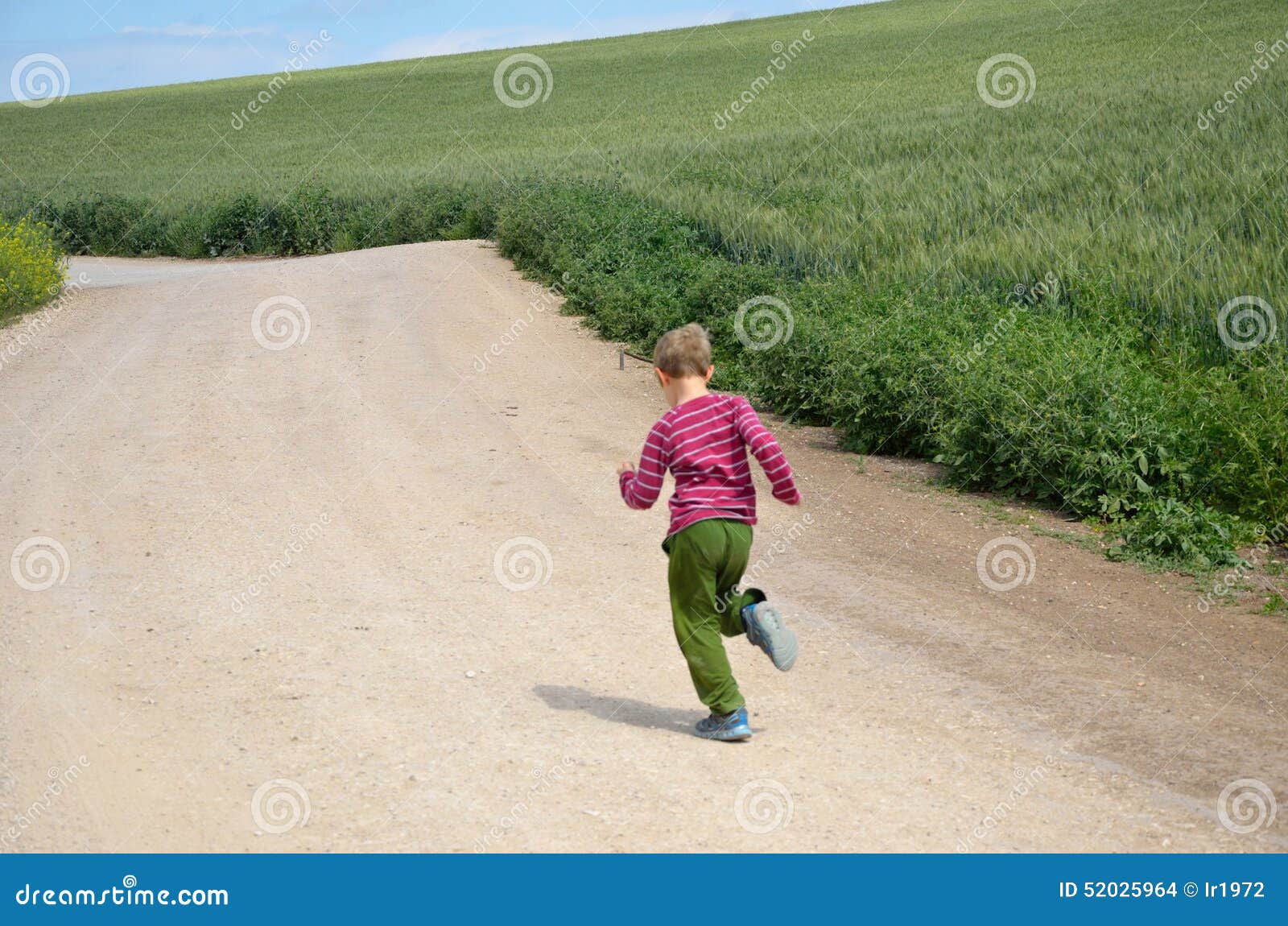 Young Boy Run in the Fields Stock Photo - Image of grain, nature: 52025964