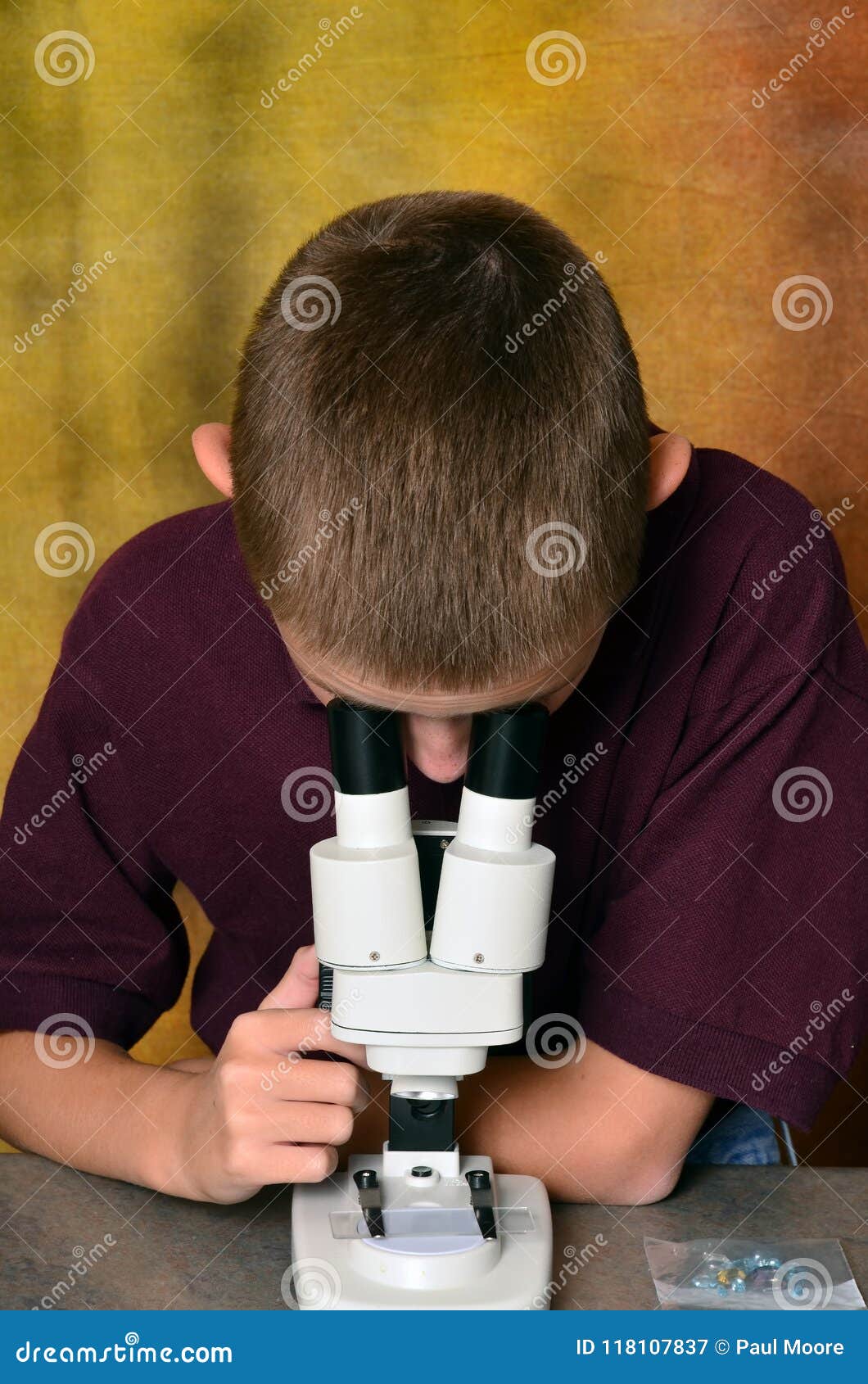 Young Boy Using a Microscope Stock Image - Image of science, caucasian ...