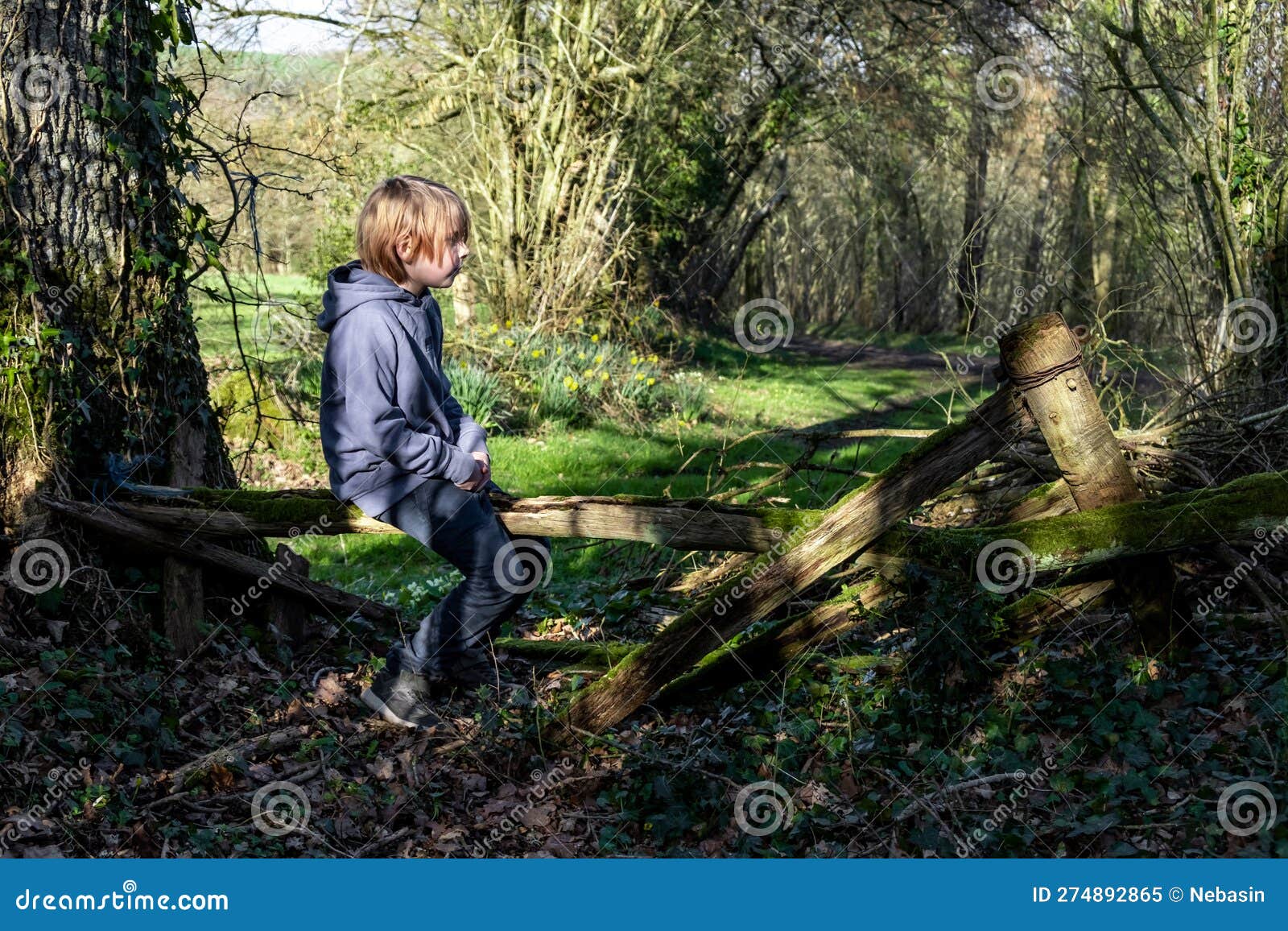 A Young Boy Sits on a Log in the Forest and Rests Stock Image - Image ...