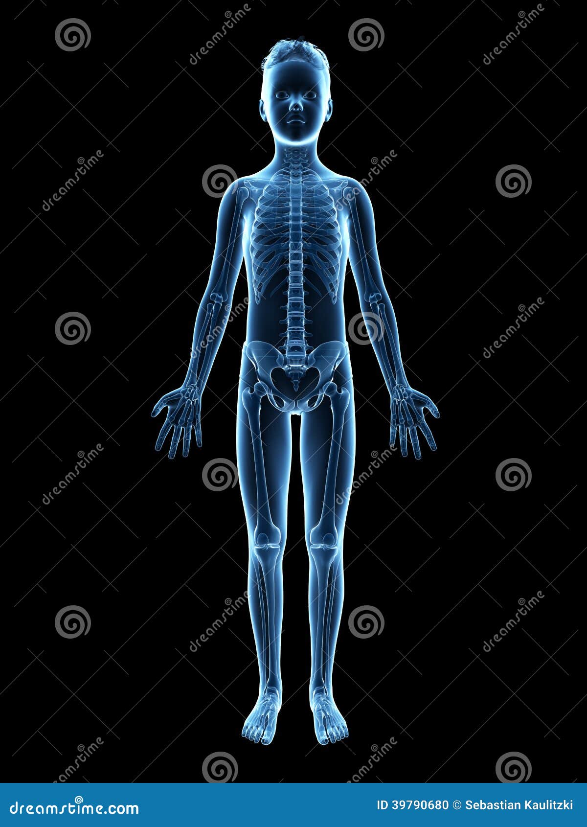 Young boy - the skeleton stock illustration. Illustration of ribs ...