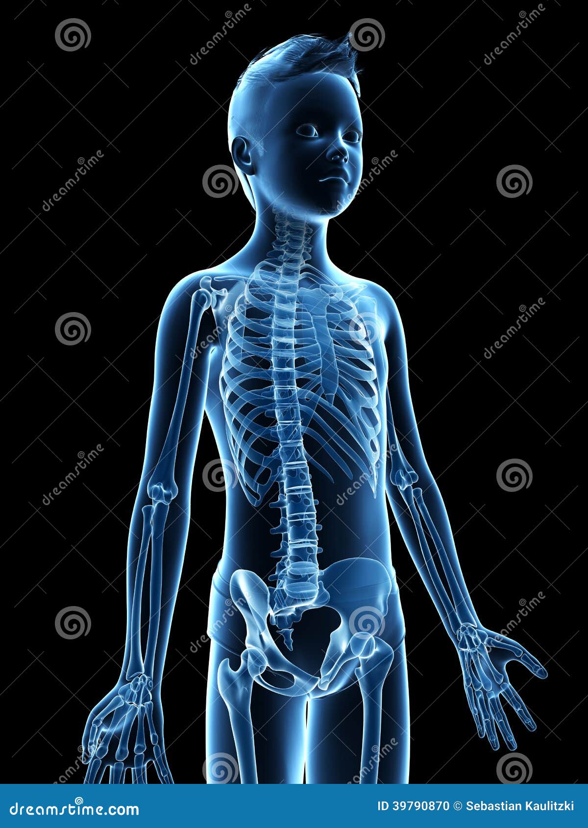 Young boy - the skeleton stock illustration. Illustration of anatomical ...