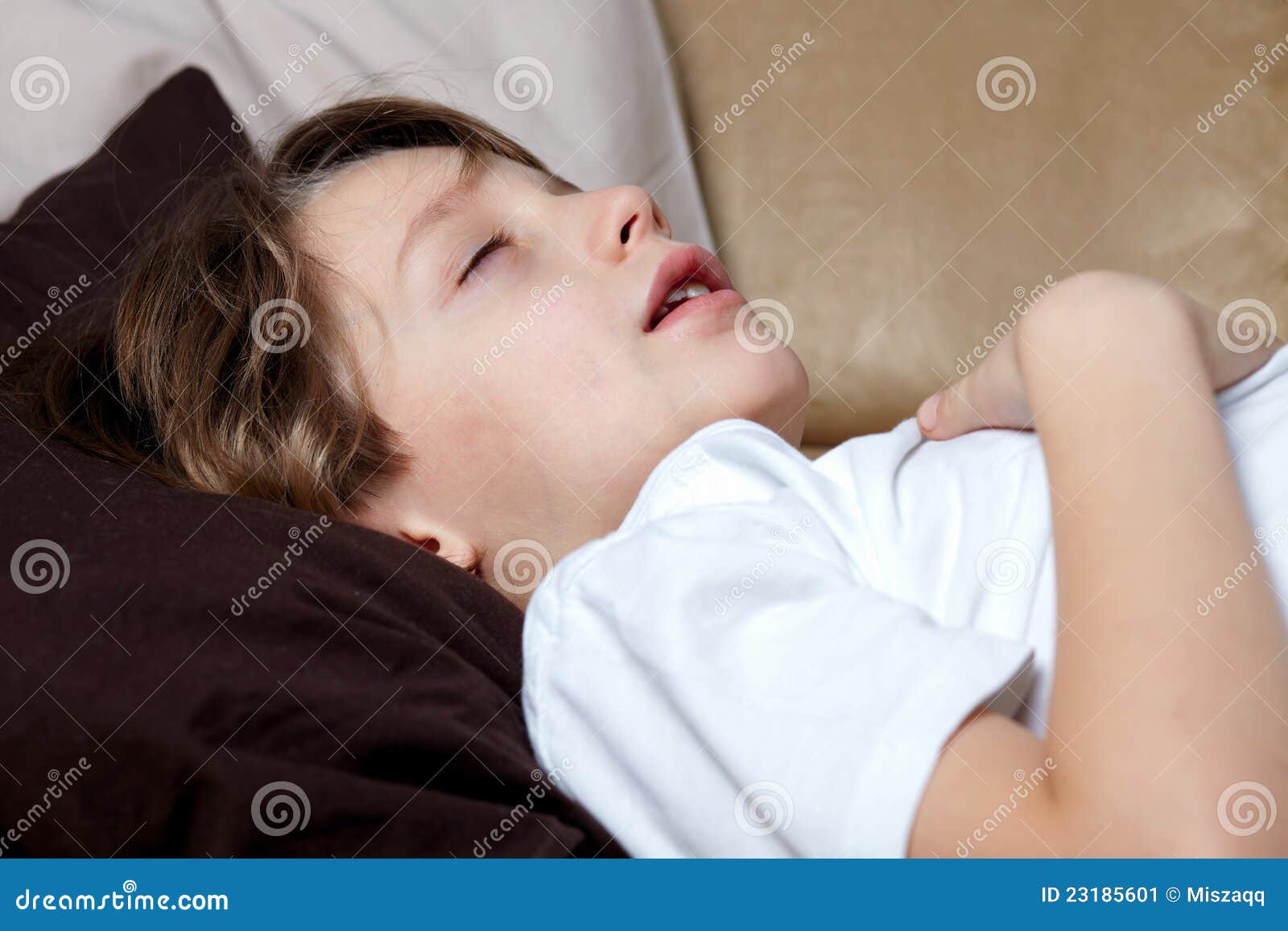 Young boy sleeps on sofa stock image. Image of human - 23185601