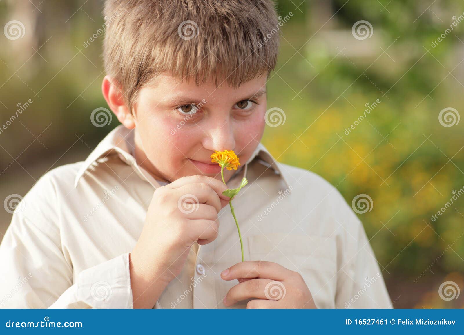 Young Boy Smelling the Flowers Stock Image - Image of person, caucasian ...