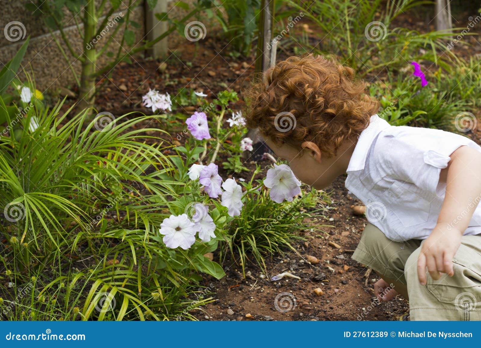 Young boy smelling flowers stock image. Image of cute - 27612389