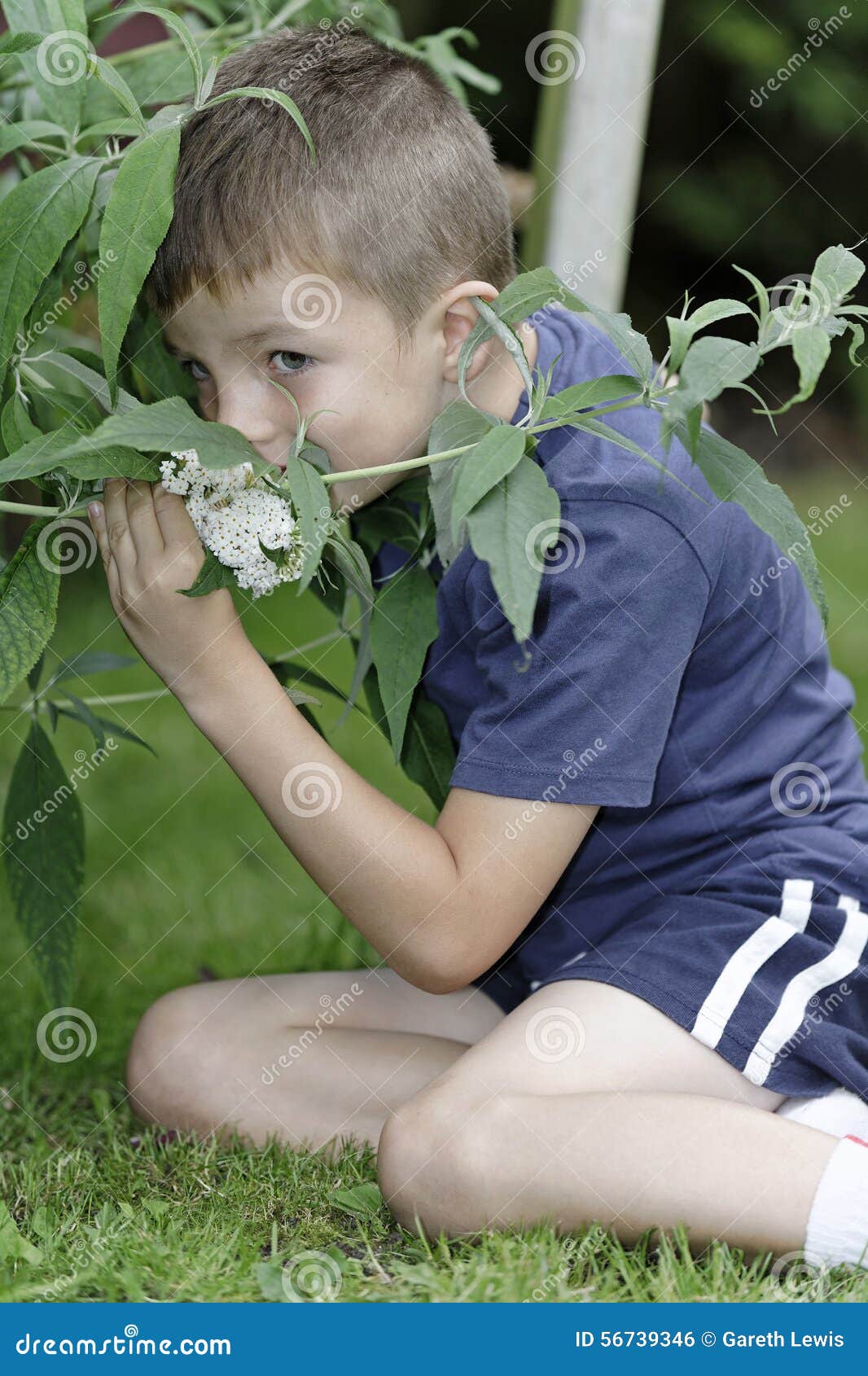Young boy smelling flowers stock photo. Image of sniffing - 56739346