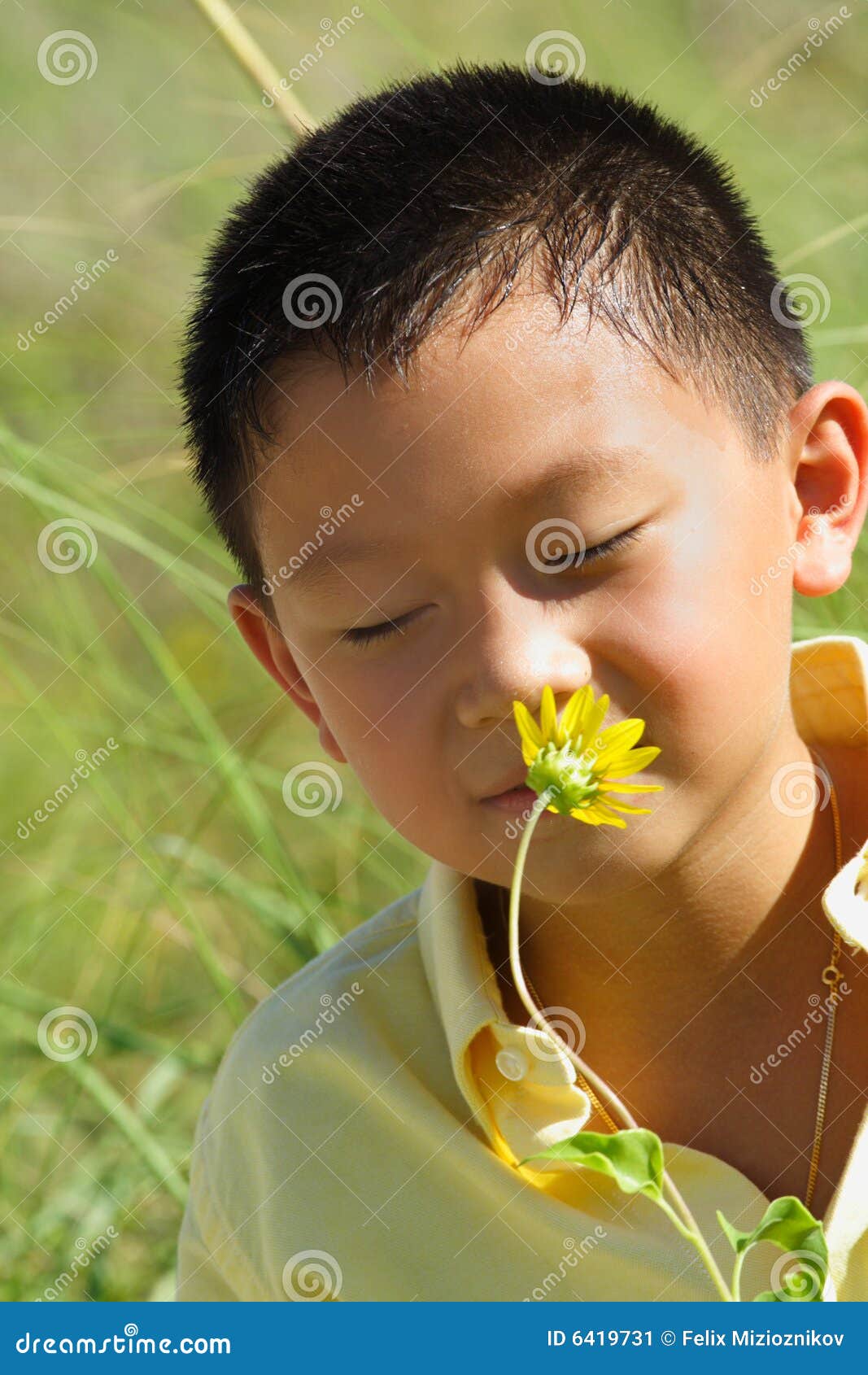 Young Boy Sniffing a Flower Stock Image - Image of outside, head: 6419731