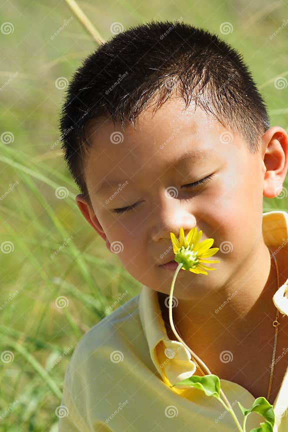 Young Boy Sniffing a Flower Stock Image - Image of outside, head: 6419731