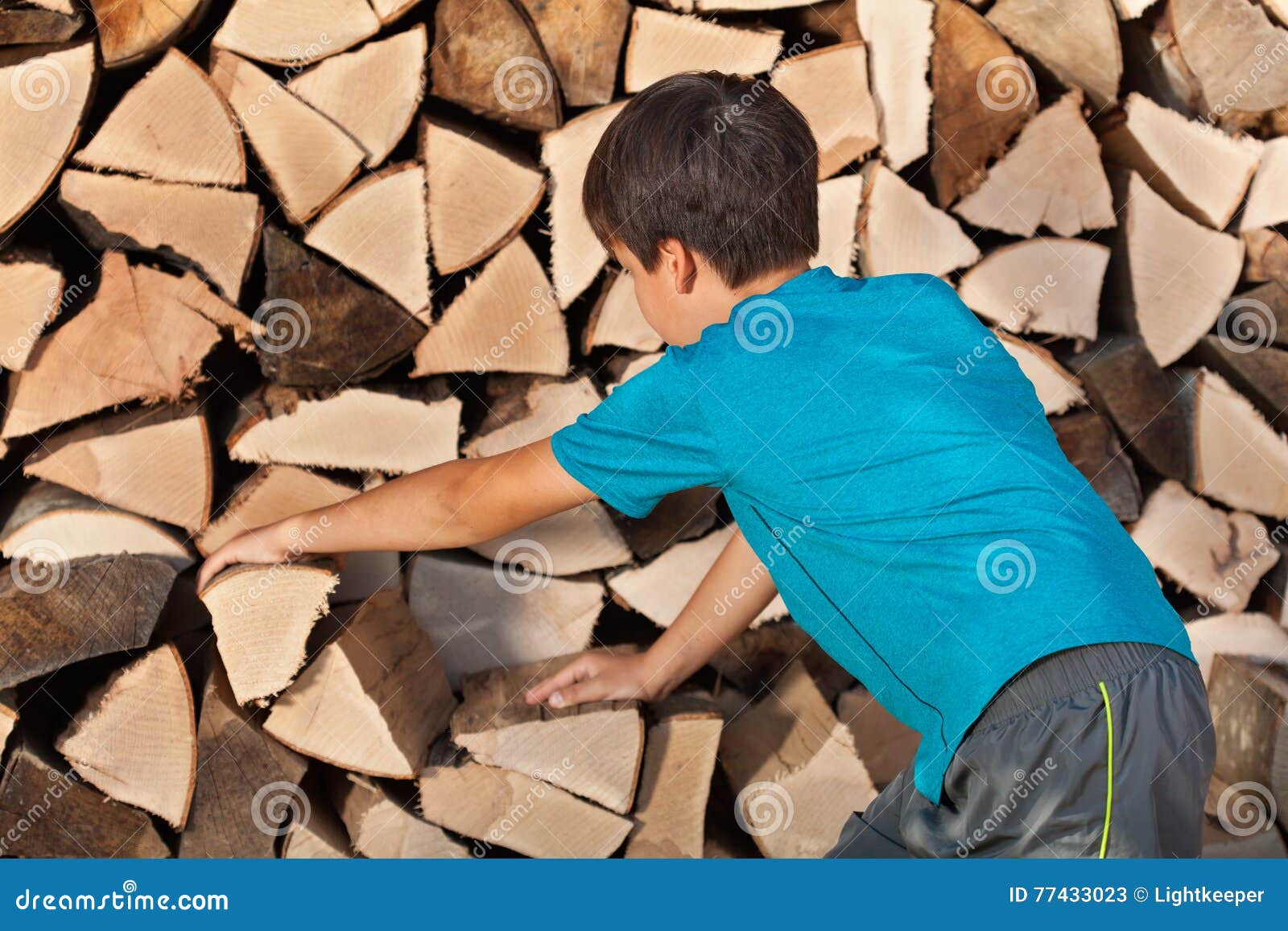 Young Boy Stacking Firewood in the Shed Stock Image - Image of firewood ...