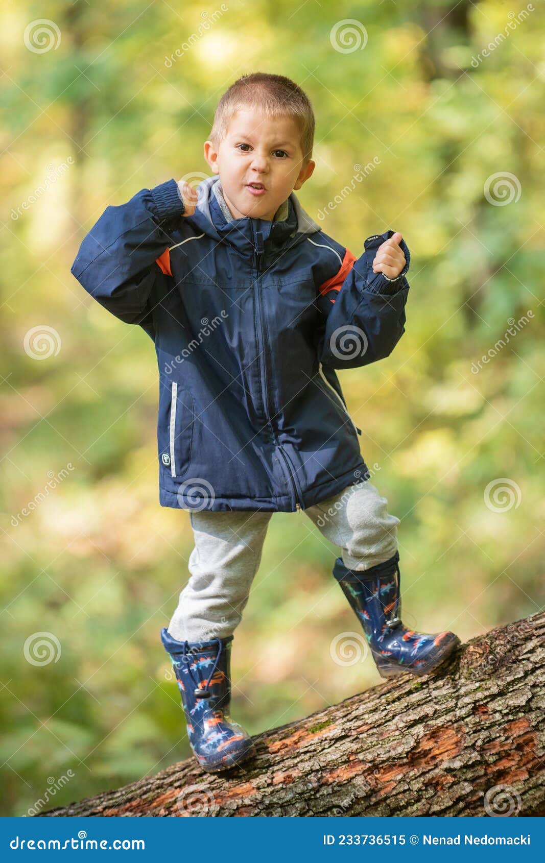 Young Boy Standing on Fallen Down Tree Trunk and Catching Balance Stock ...