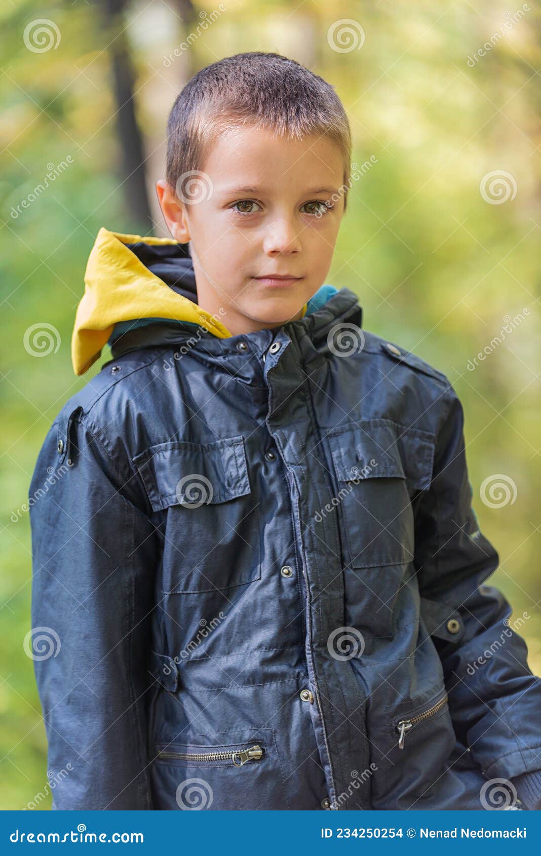 Young Boy Standing on Fallen Down Tree Trunk and Catching Balance Stock ...