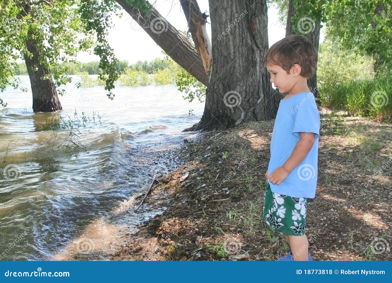 Young Boy Standing on the Shore of a Lake Stock Photo - Image of ...