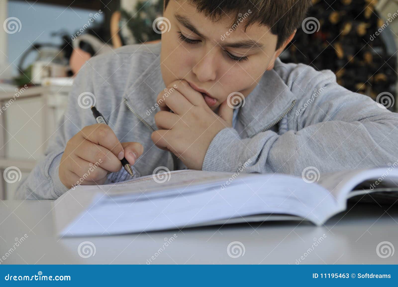 Young Boy Studying Stock Photos - Image: 11195463 Young Boy Studying Stock Photos - Image: 11195463