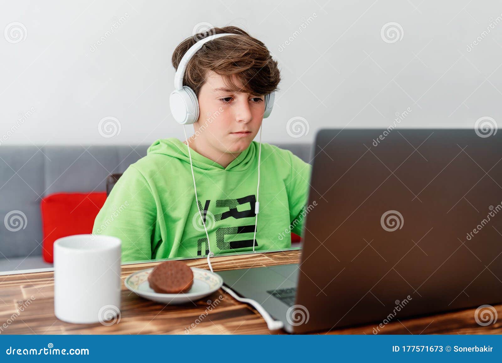 Young Boy is Studying in Front of the Laptop. E Learning, Study at Home ...