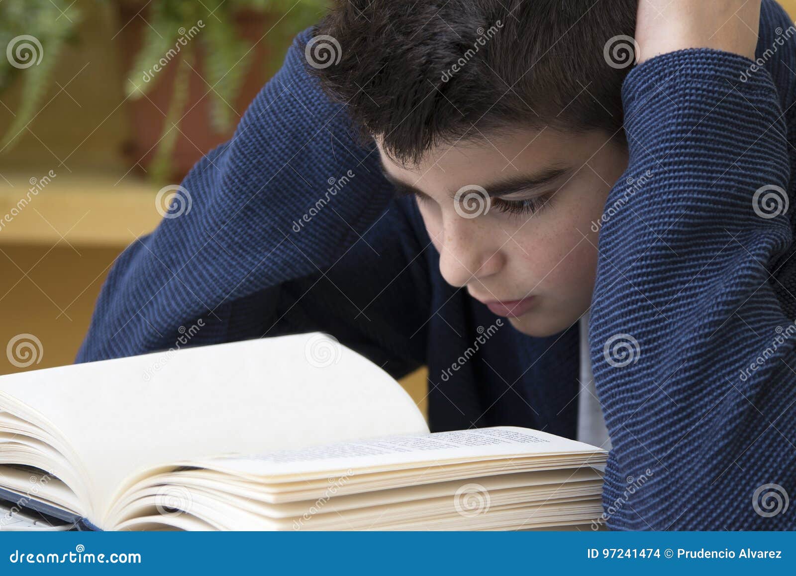 Boy studying book stock photo. Image of computer, learning - 97241474
