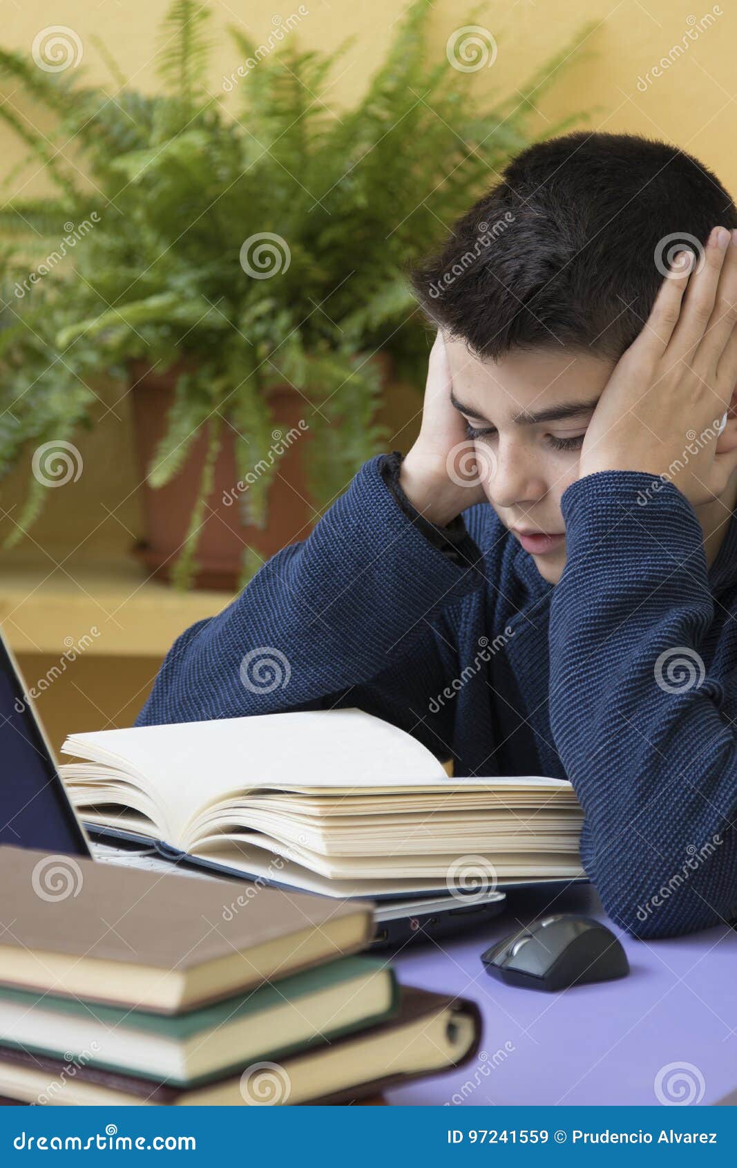 Boy studying book stock image. Image of education, school - 97241559