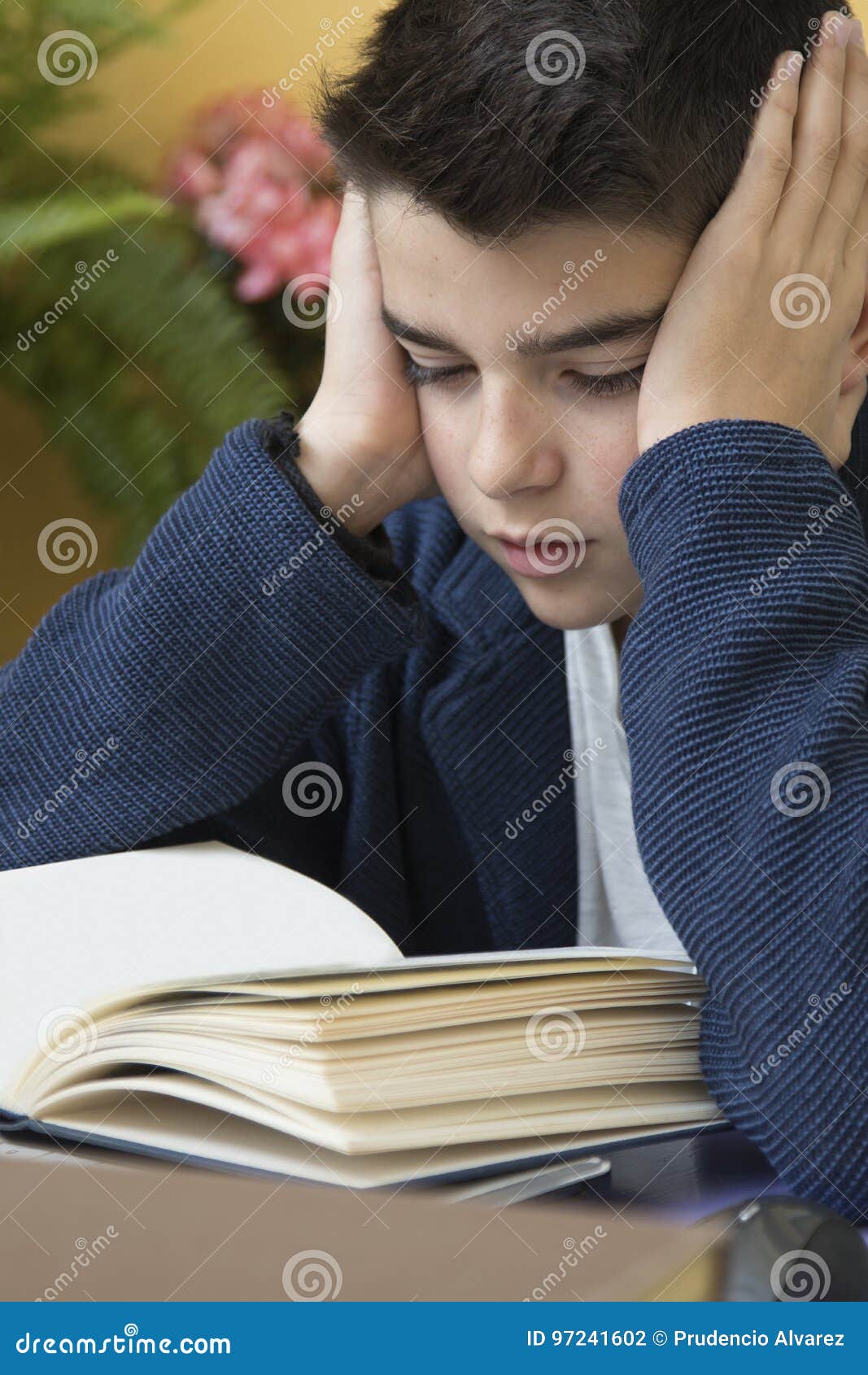 Boy studying book stock photo. Image of exams, handsome - 97241602