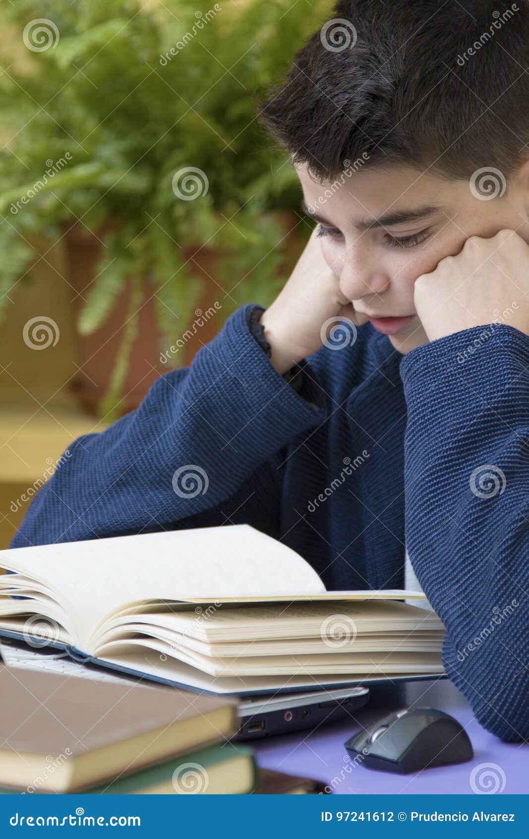 Boy studying book stock photo. Image of desktop, notebook - 97241612