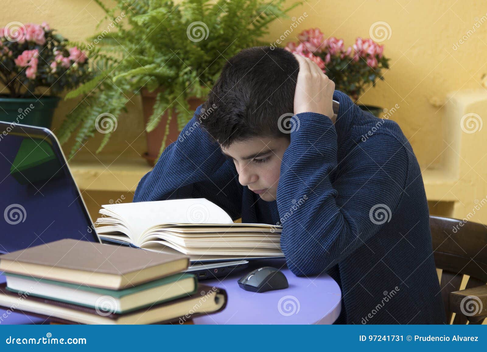 Boy studying book stock image. Image of kids, lifestyle - 97241731