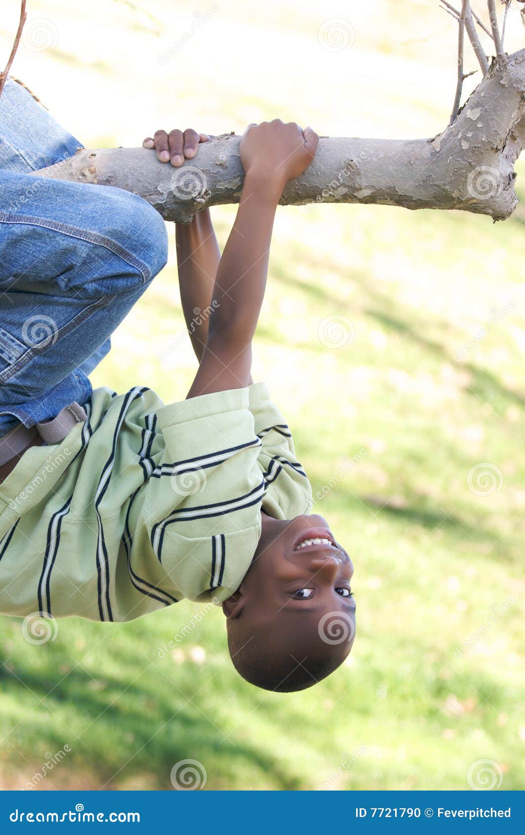 Young Boy in a tree stock photo. Image of delight, joyful - 7721790