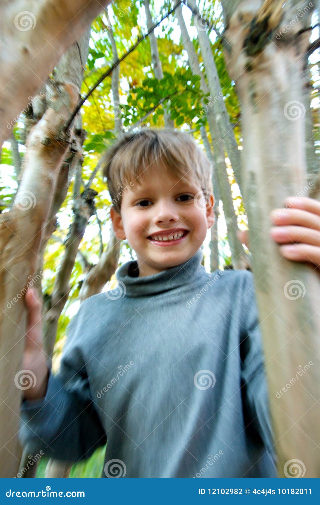 Young boy in trees stock photo. Image of outside, outdoor - 12102982