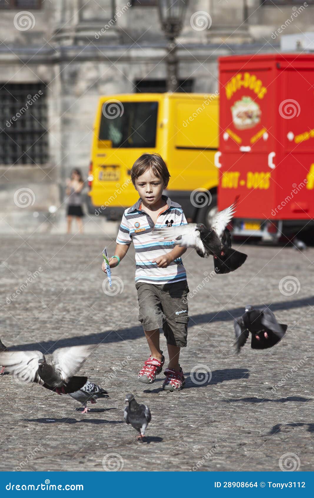 Young Boy Tries To Catch Pigeons Editorial Stock Image - Image of dutch ...