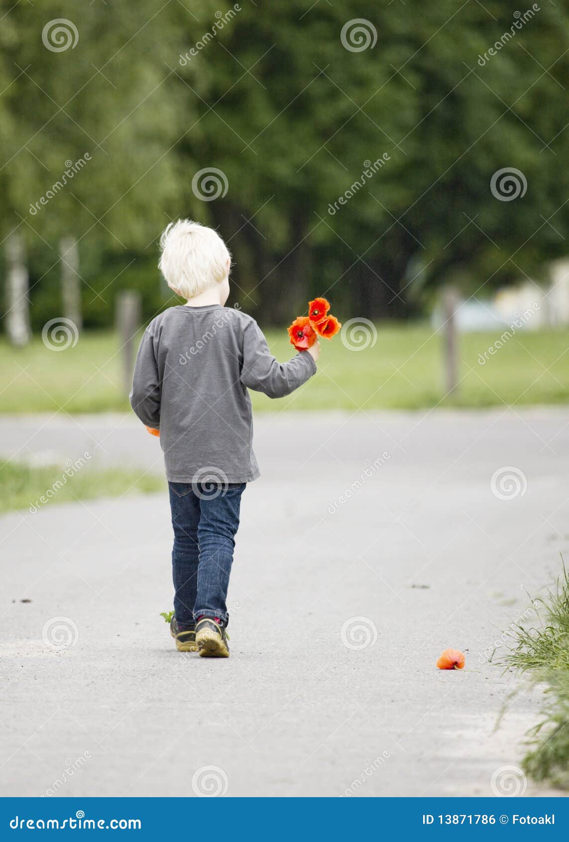 Young Boy Walking Royalty Free Stock Image - Image: 13871786