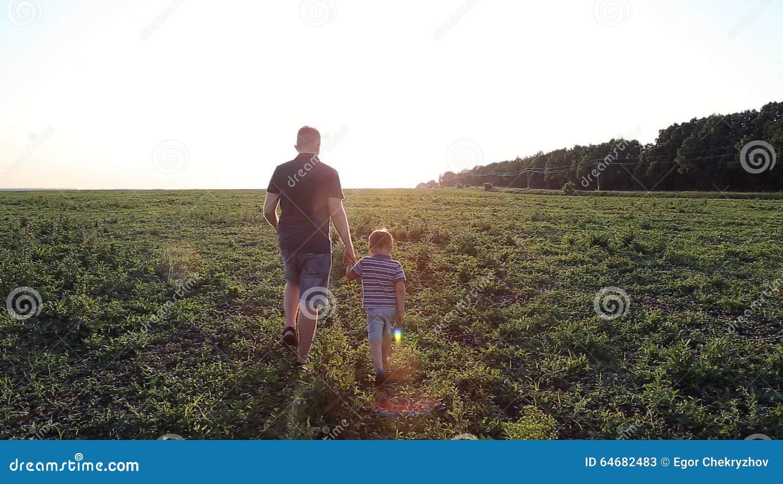 Young Boy Walking with His Father in a Grassy Stock Video - Video of ...