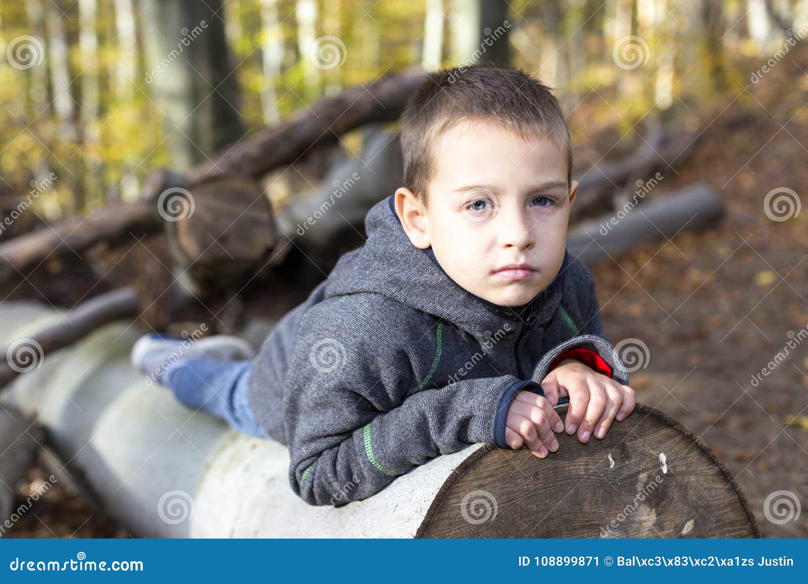 There`s a Boy in the Woods on Huge Trees. Stock Image - Image of ...