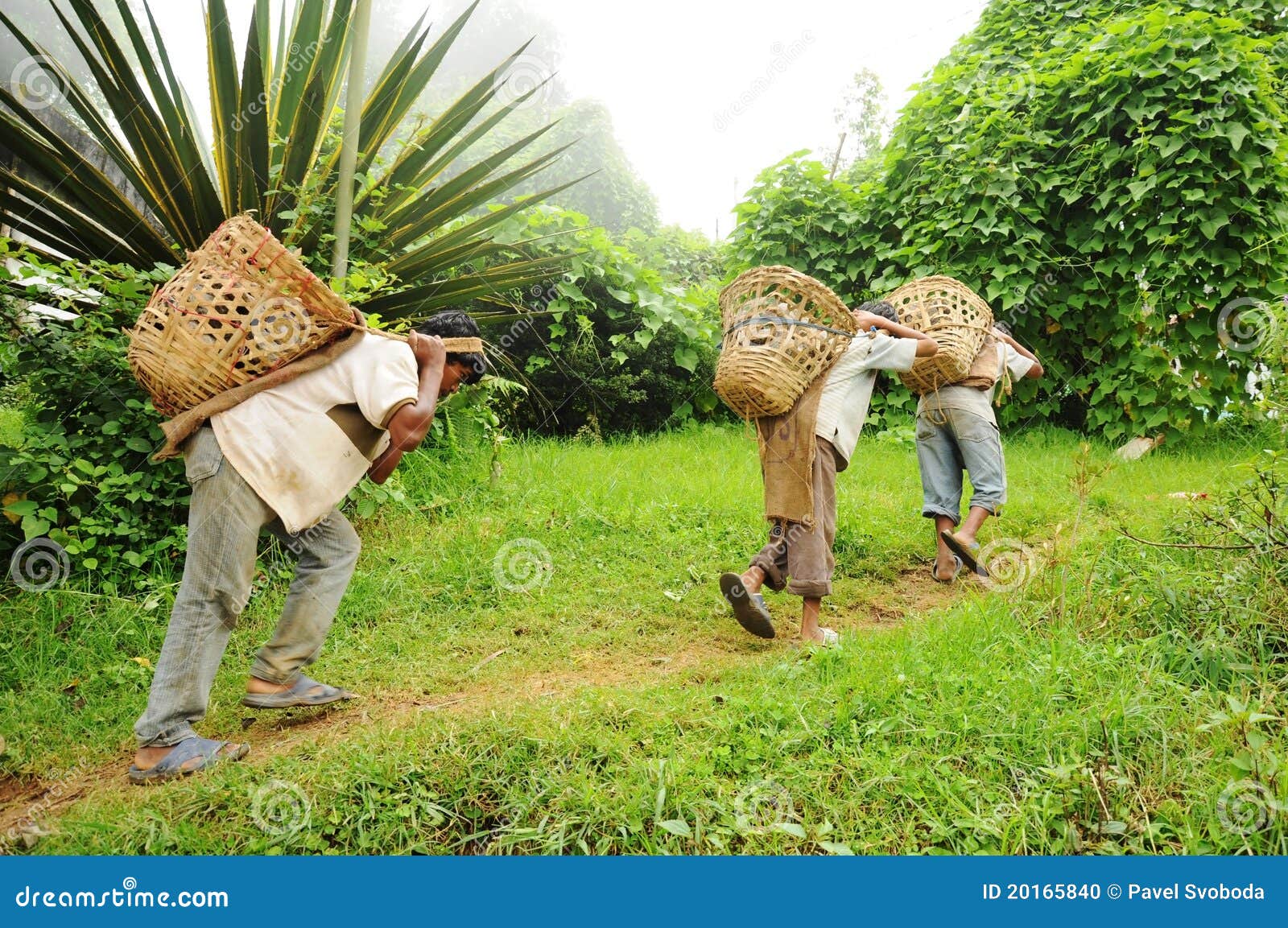 Young Boys Work Hard As Porters, India Editorial Image - Image of ...