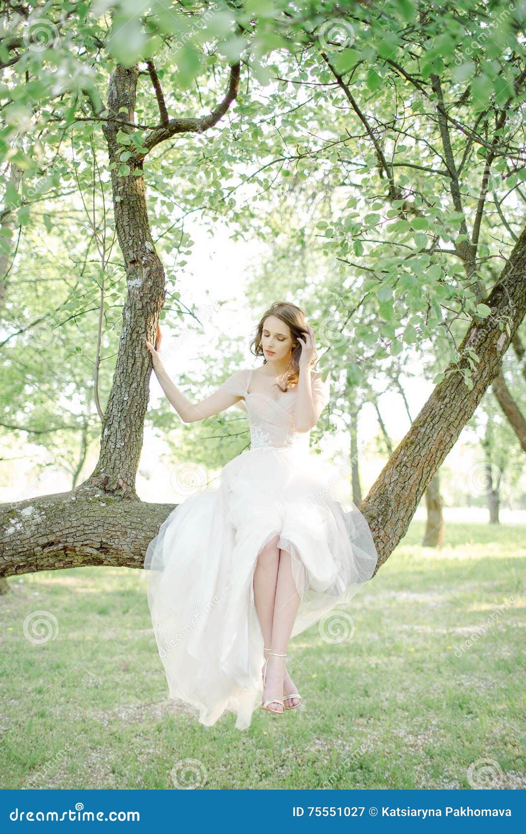 Young Bride in Beautiful Wedding Dress Sitting on Tree Outdoors Stock ...